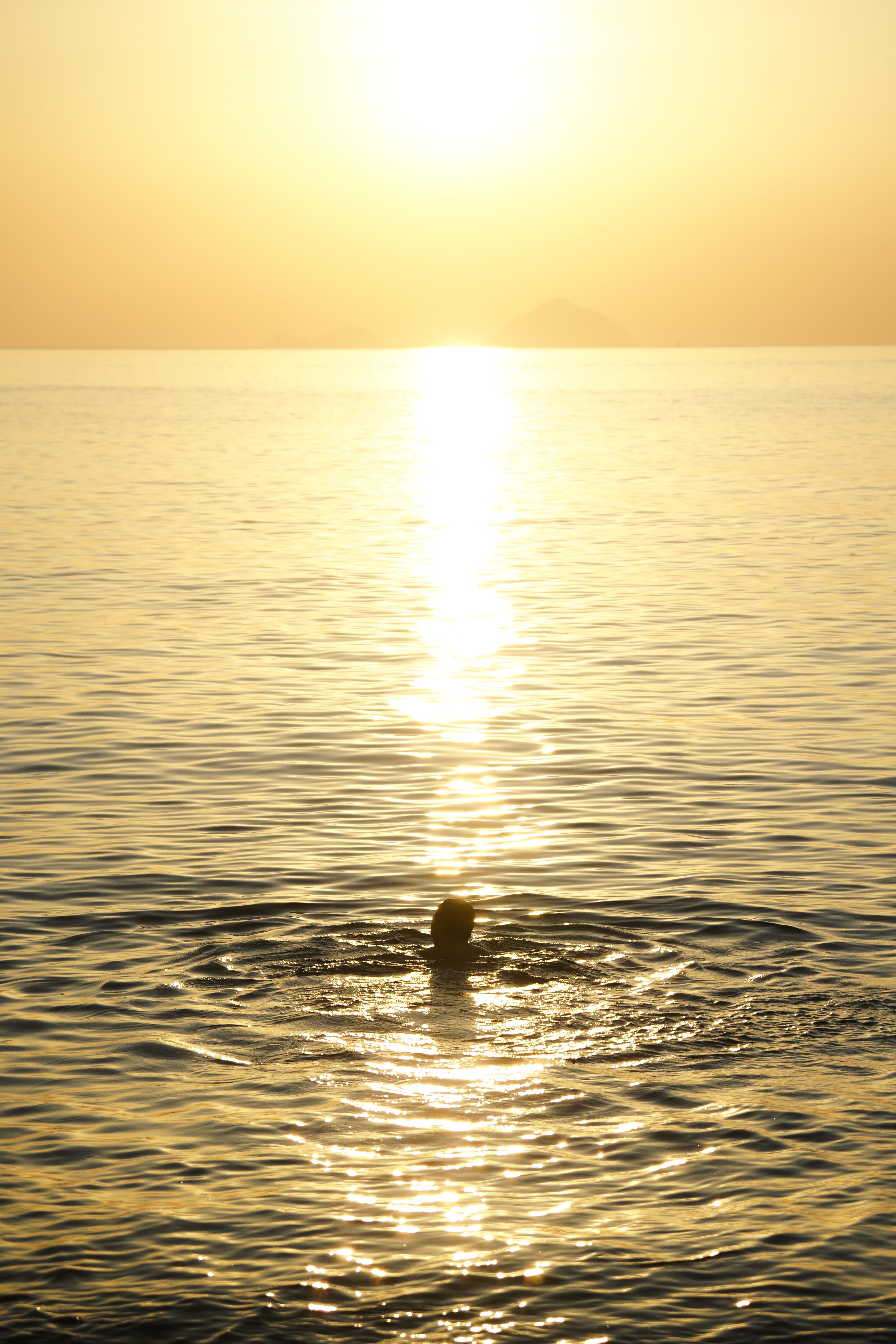 Person Swimming in Sea in Summer · Free Stock Photo