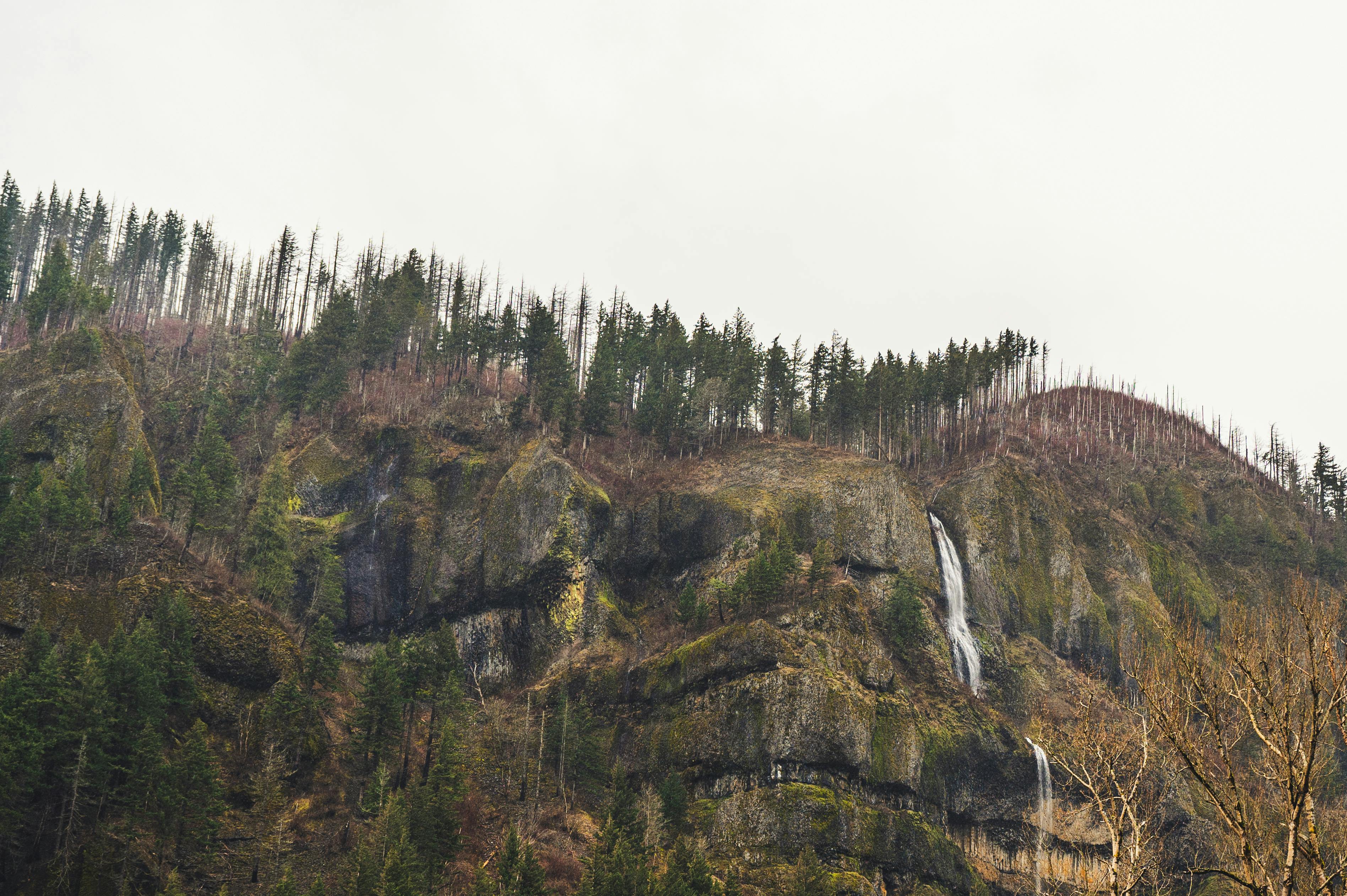 View of a Steep Cliff with a Waterfall and Forest in Autumn · Free ...