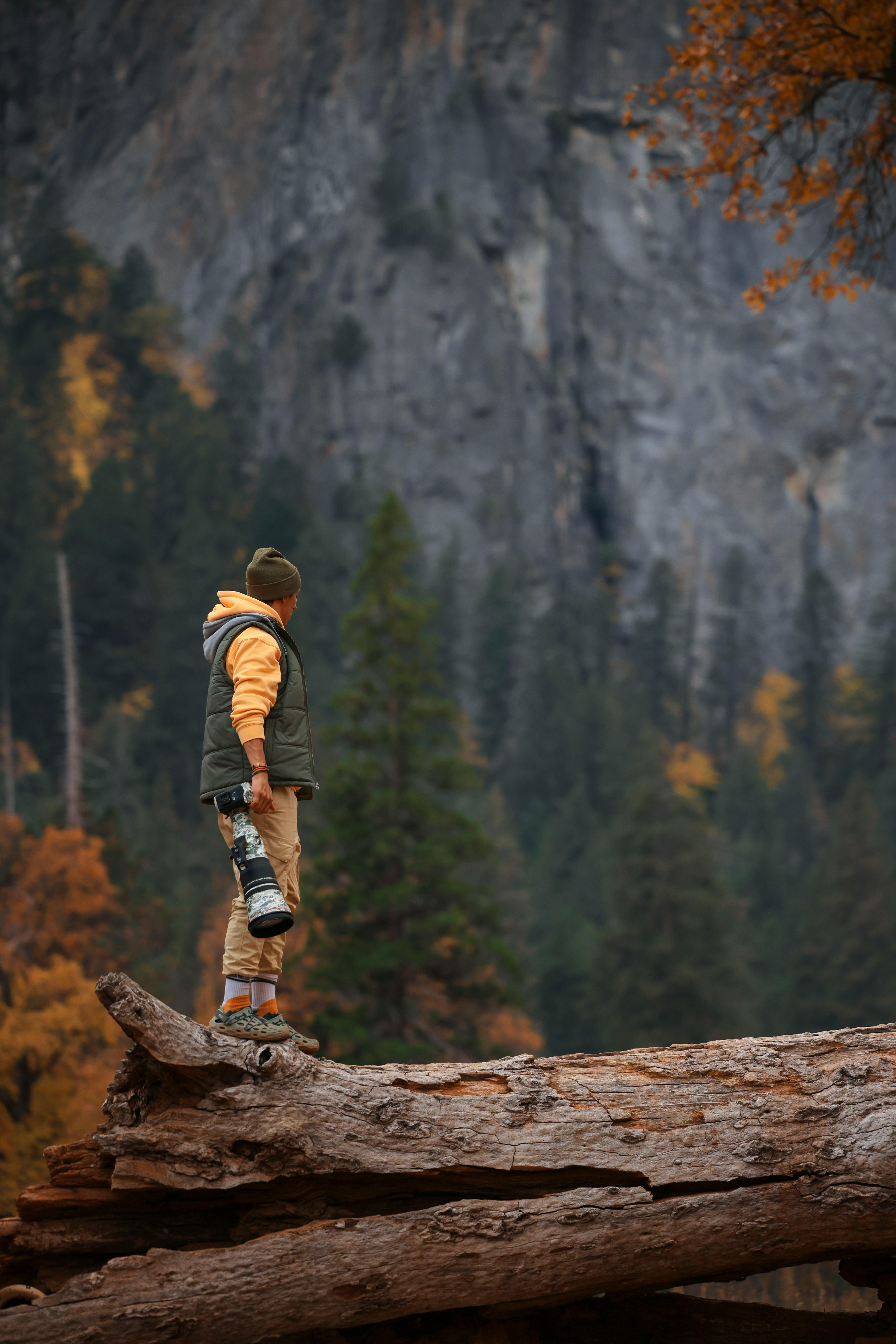 Man with a Camera Standing on Timber in Mountain Landscape · Free Stock ...