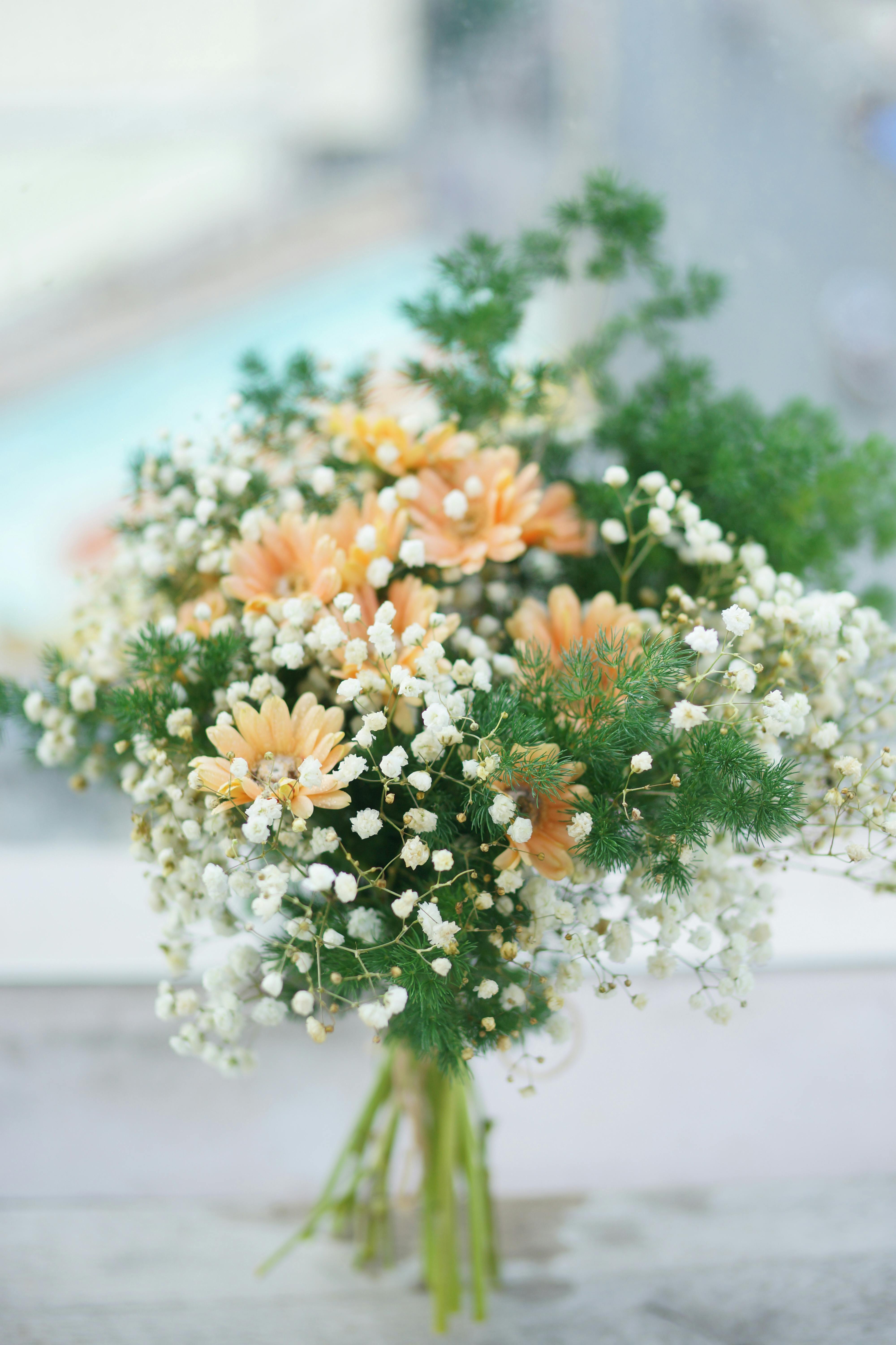 40.000+ Frische Quellen Bilder und Fotos · Kostenlos Downloaden ...