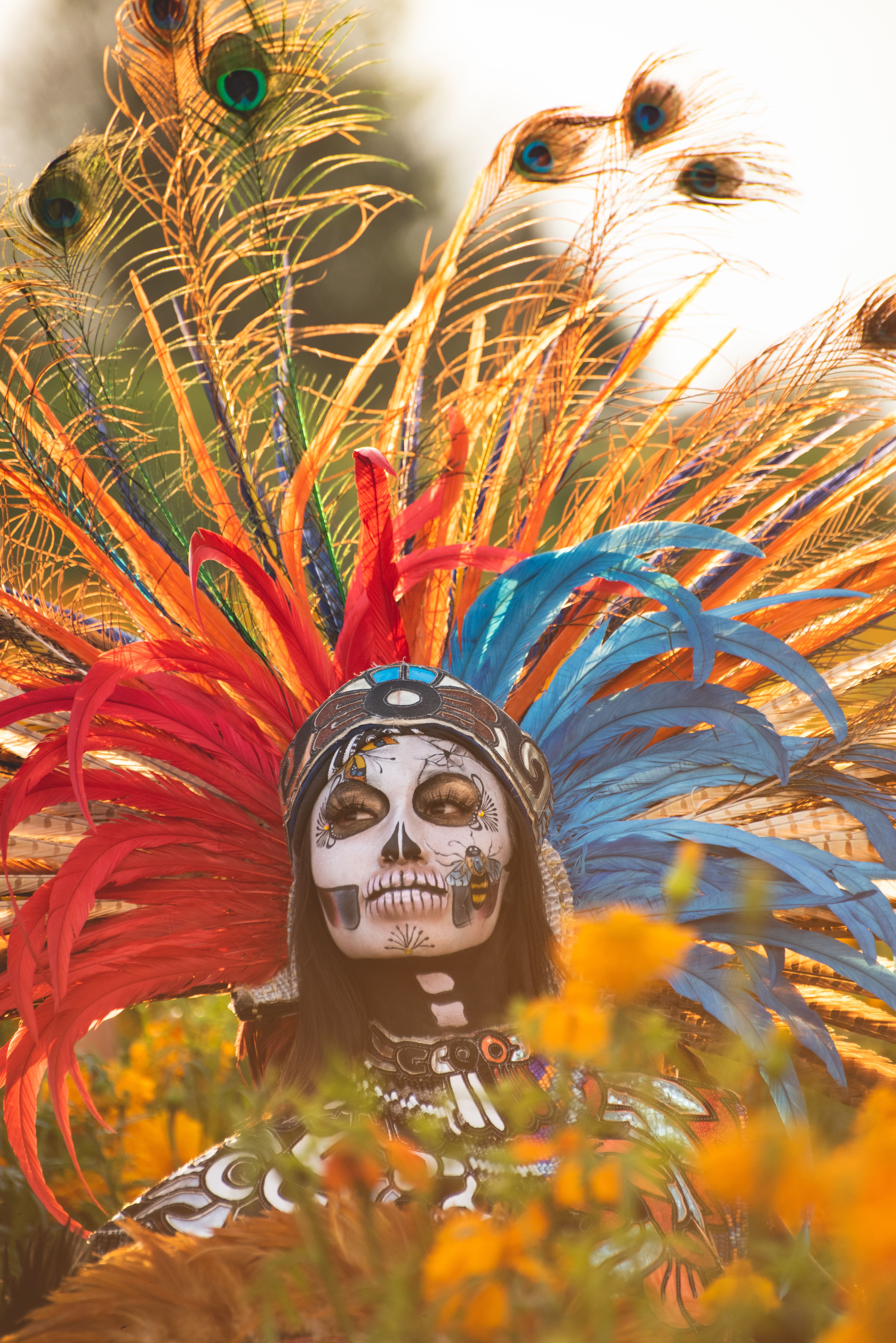 Portrait of Catrina with Peacock Feathers in Wreath · Free Stock Photo