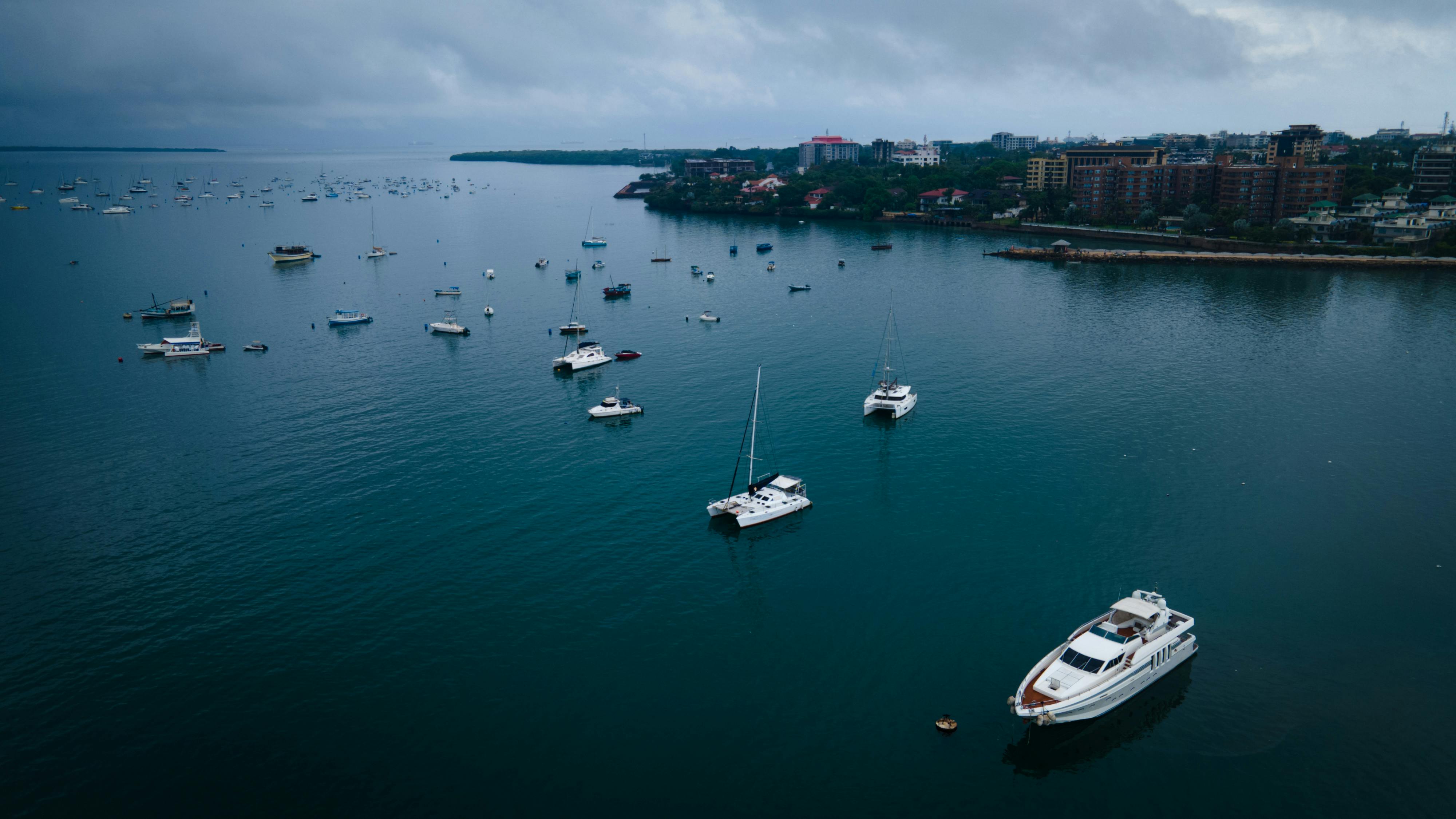 Alex Levis - Photography