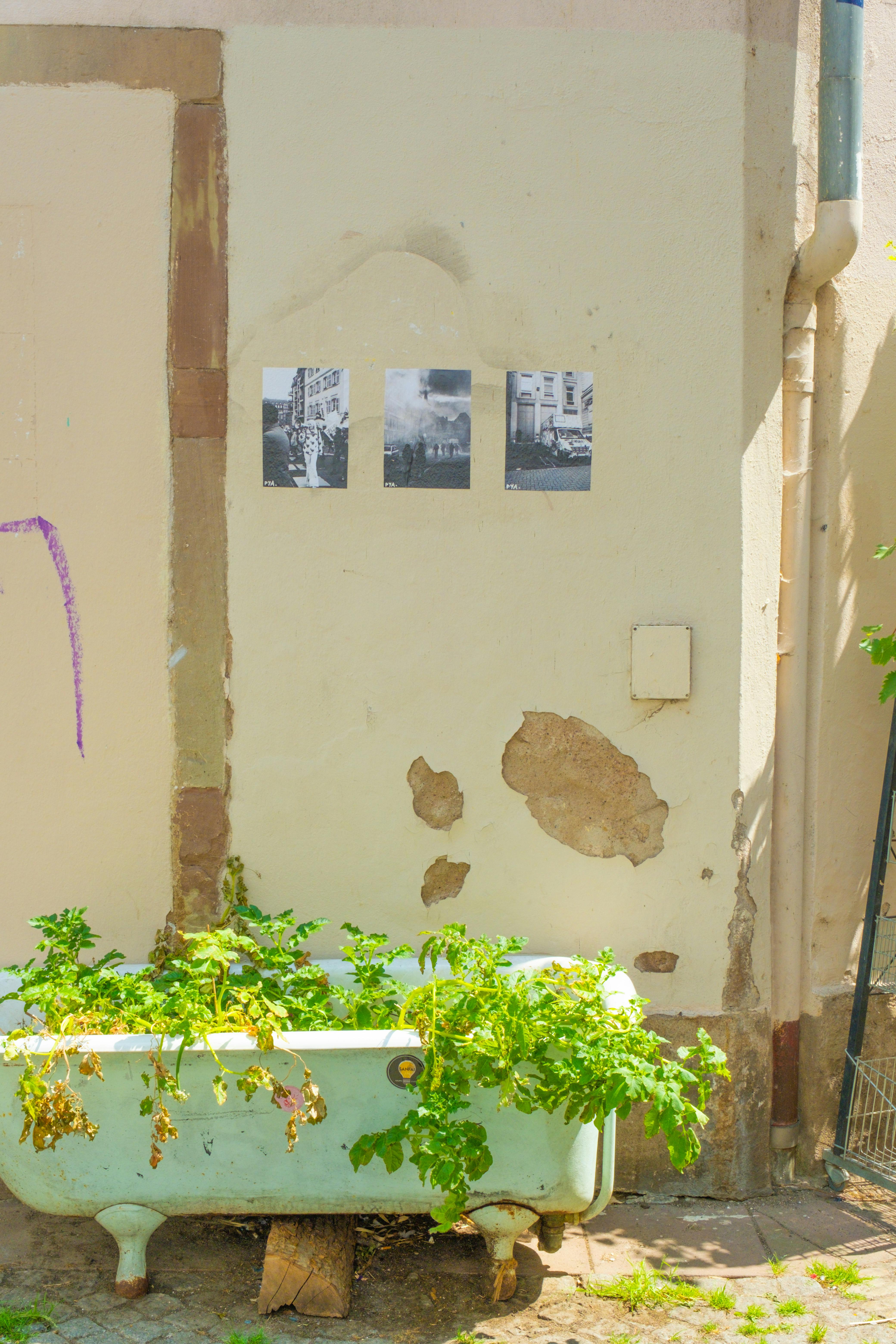 Insurance Pictures Photos, Download The BEST Free Insurance Pictures ...