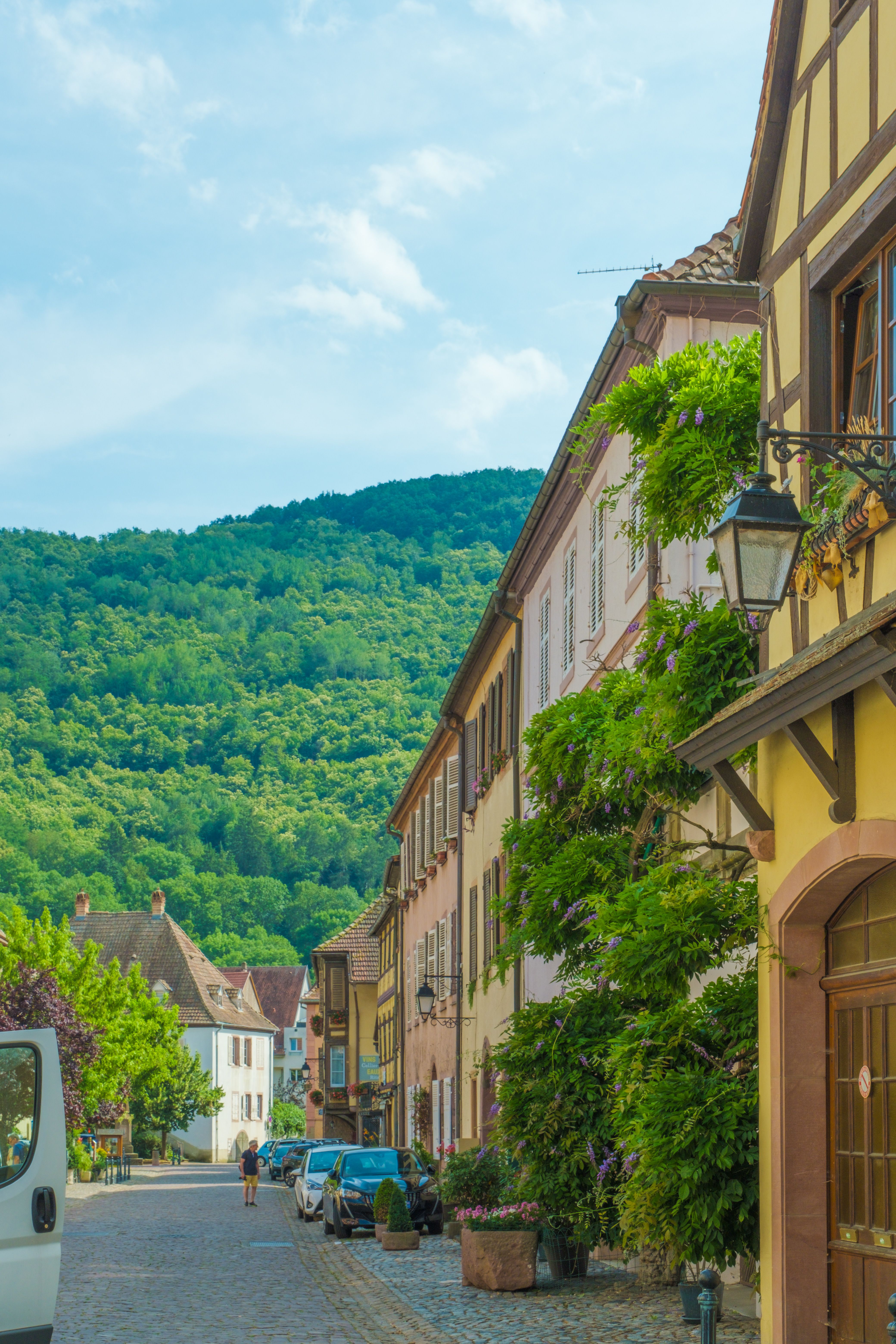 Buildings Walls by Street in Town with Forest on Hill behind · Free ...