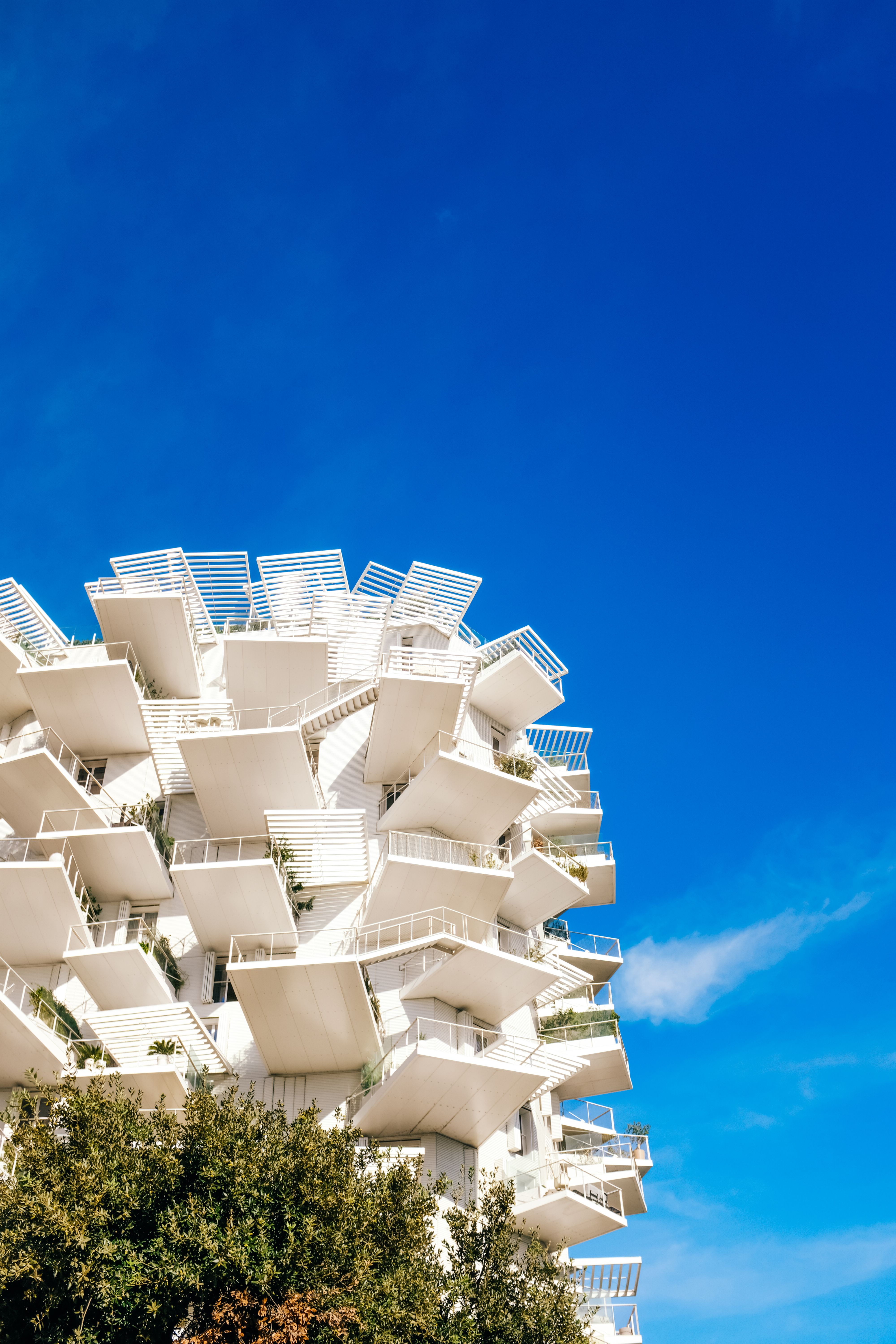 L Arbre Blanc Building in Montpellier in France · Free Stock Photo