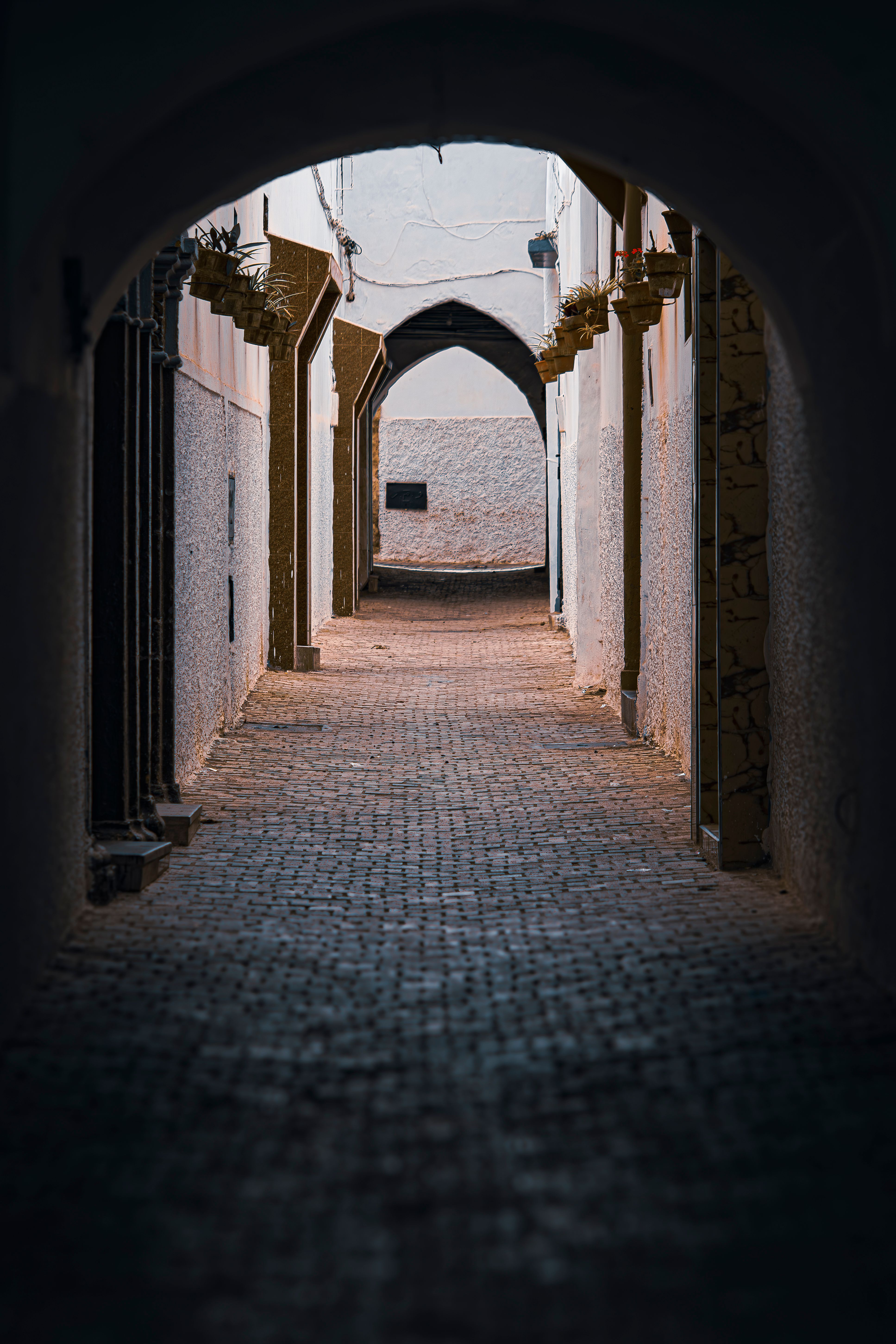 Trees and Shadow over Street in Town · Free Stock Photo