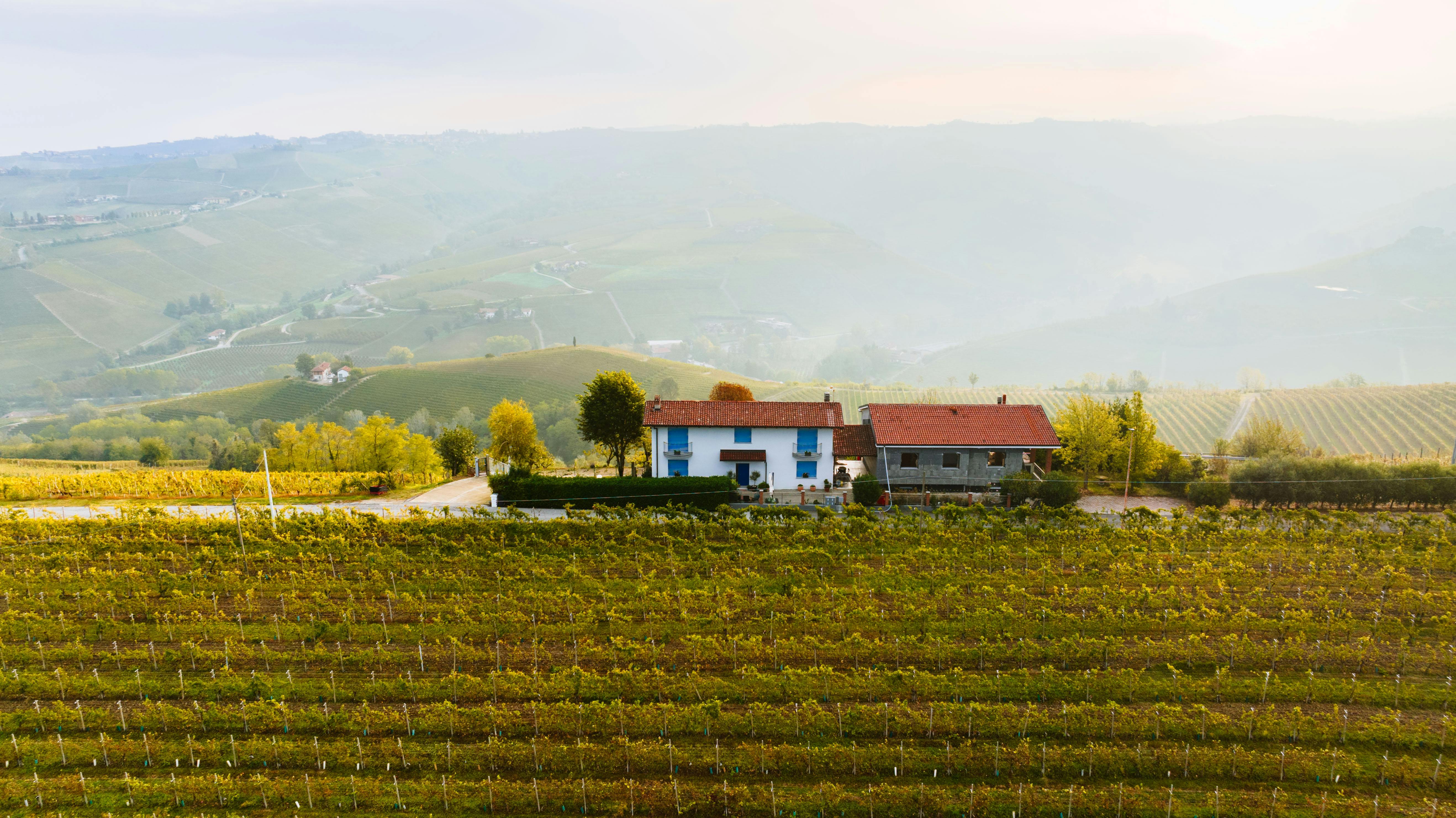 A Farmhouse in the Fields · Free Stock Photo