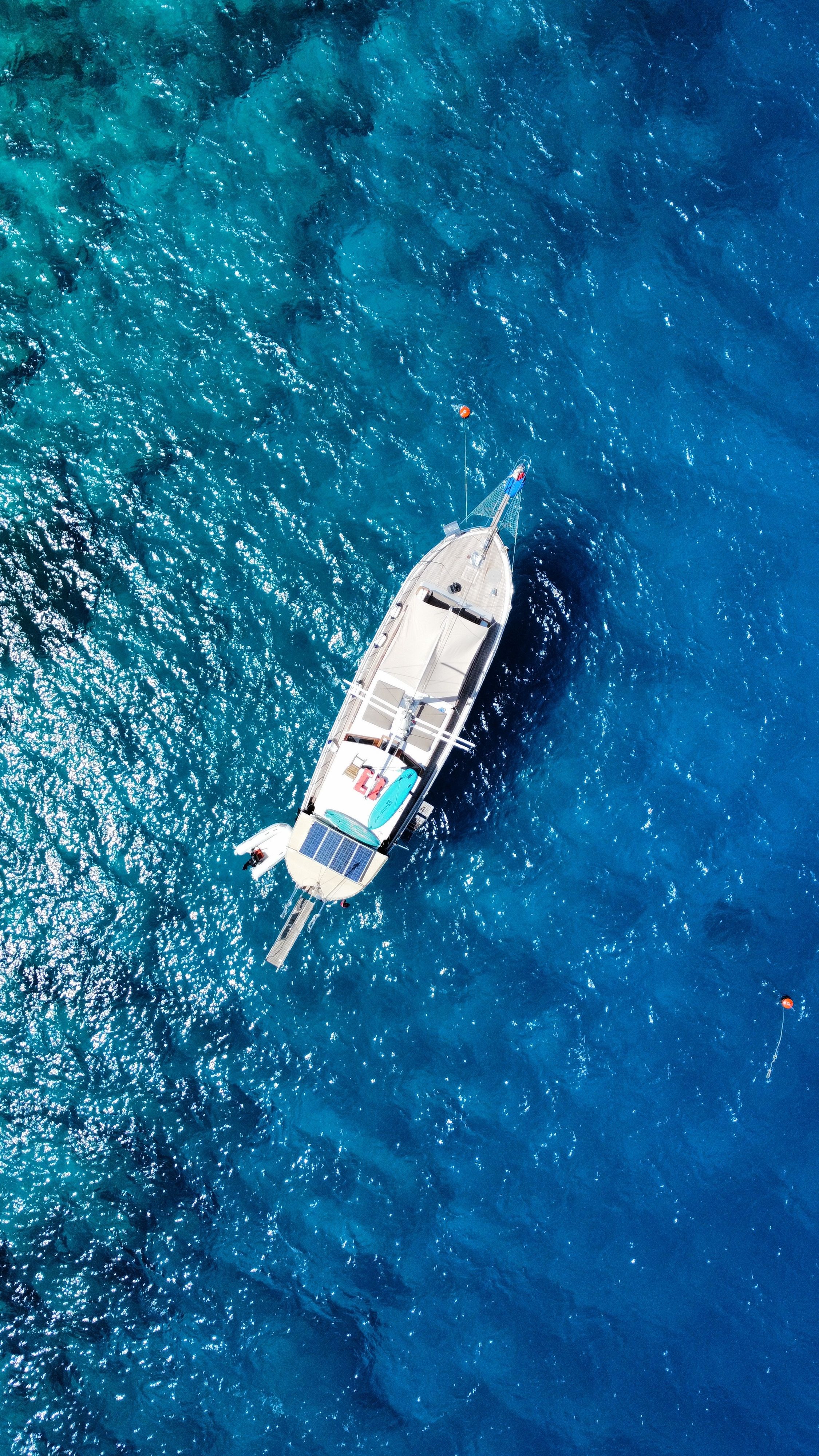 White and Blue Boat on Blue Sea · Free Stock Photo