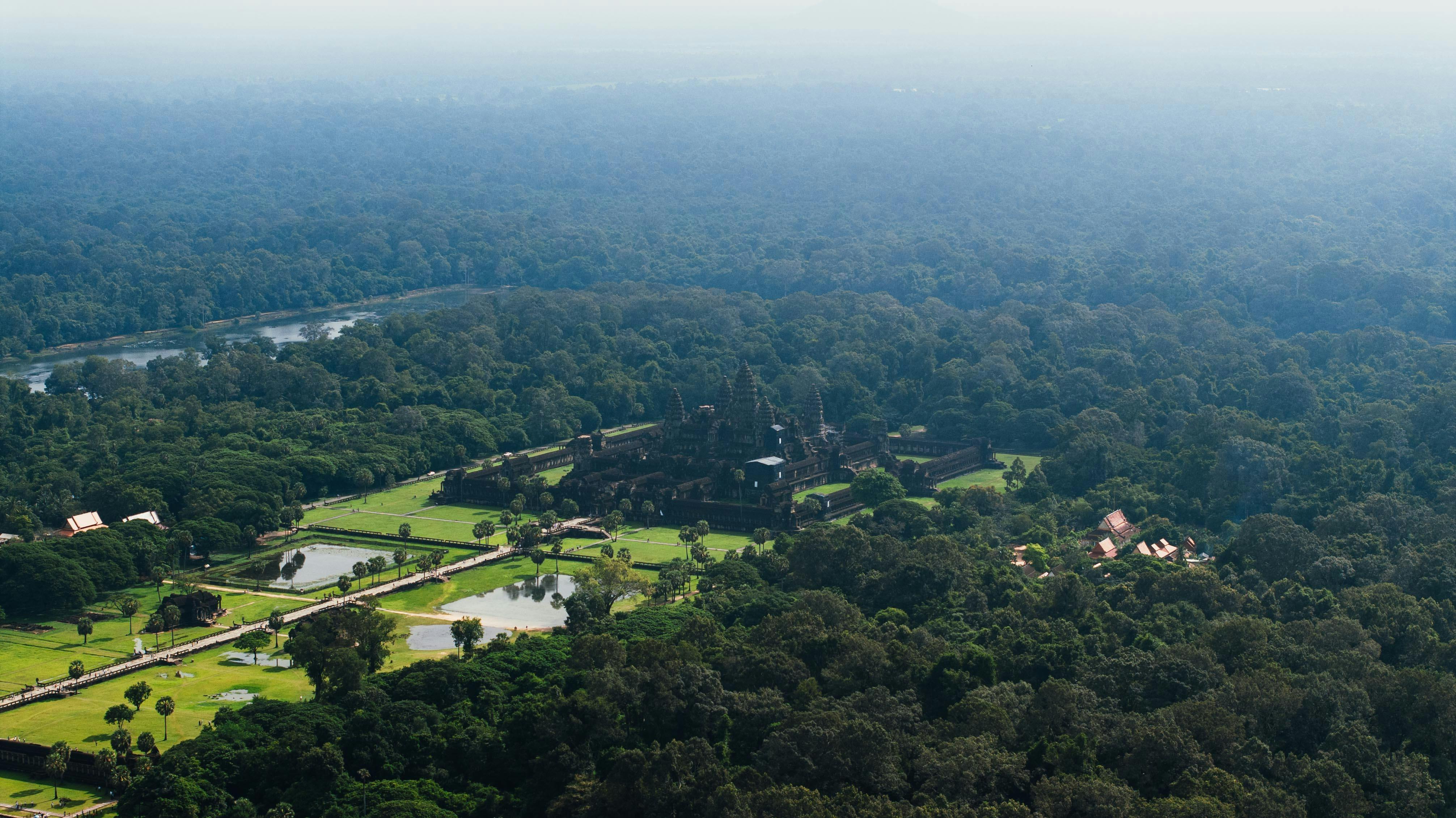 Forest around Angkor Wat · Free Stock Photo