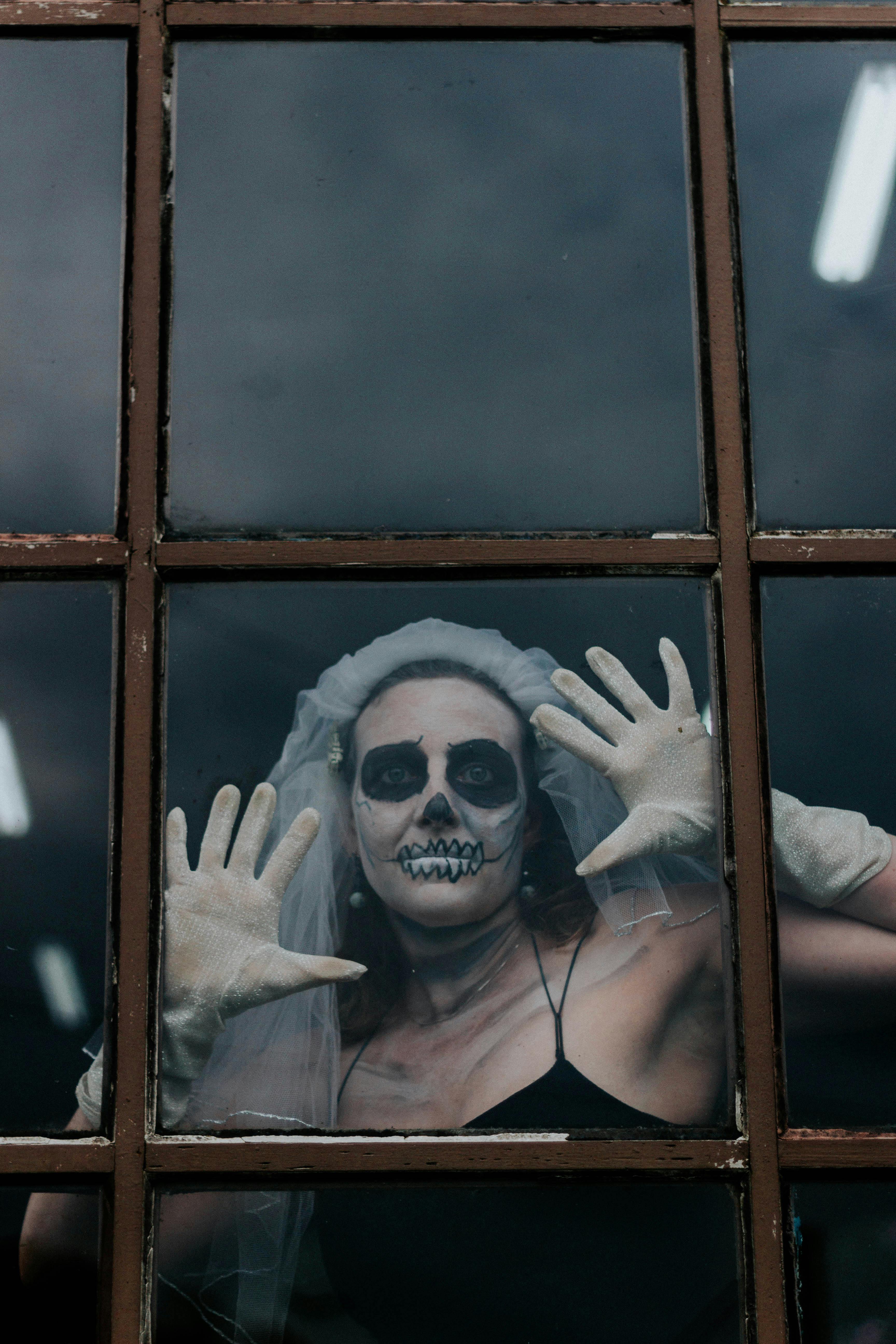 Bride Shell Photos, Download The BEST Free Bride Shell Stock Photos ...