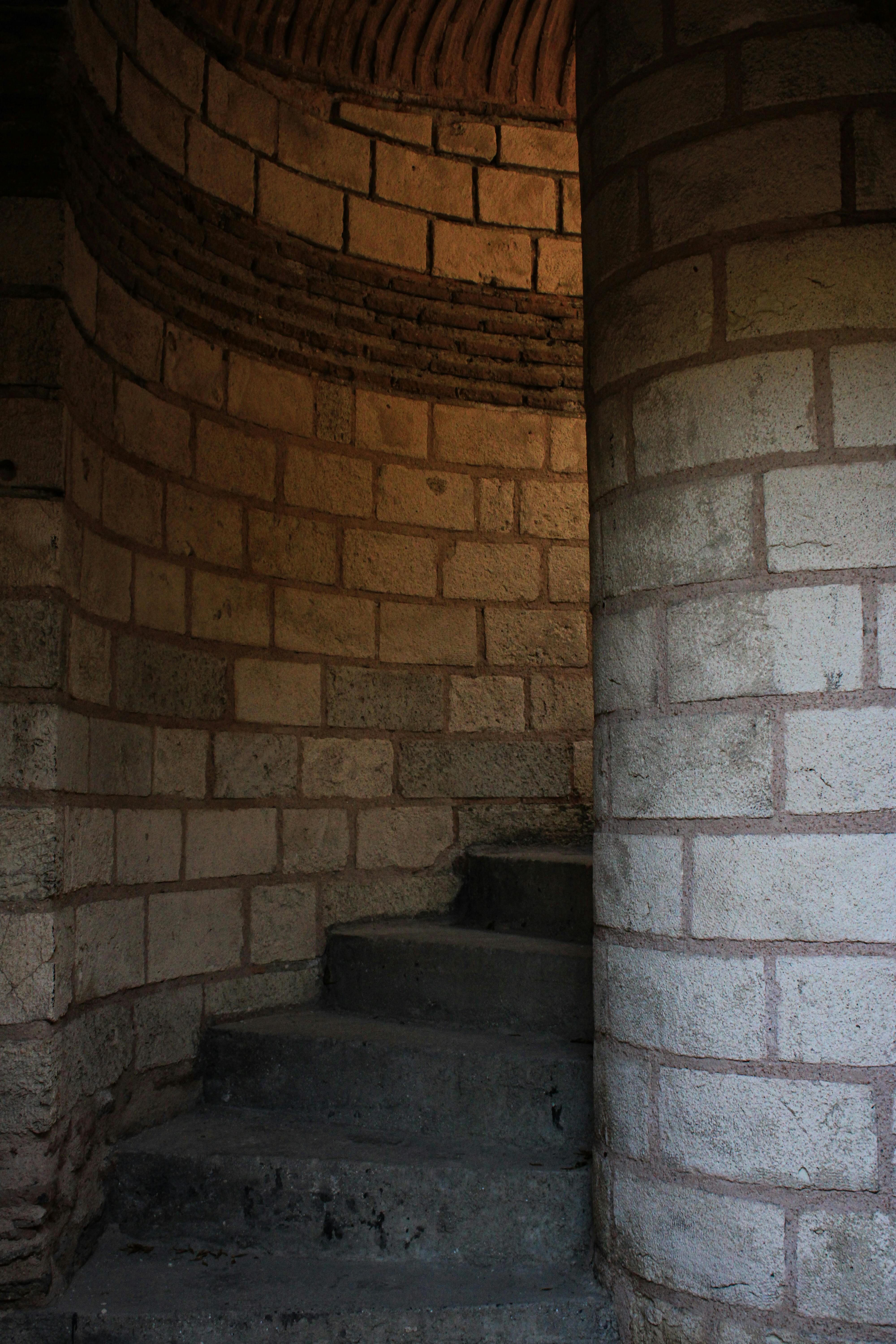 Diver Raw Photos, Download The BEST Free Diver Raw Stock Photos & HD Images