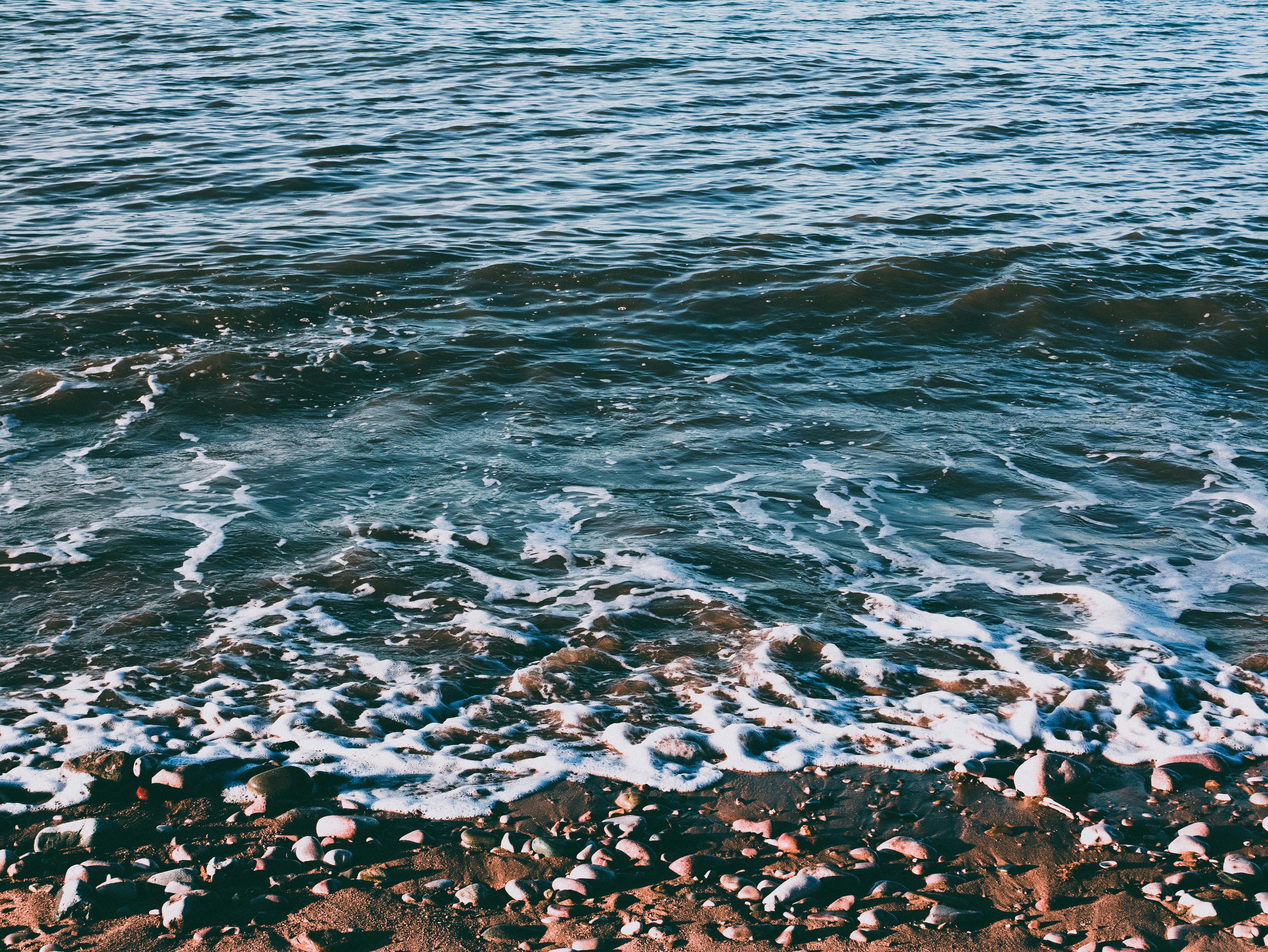 Shore · Free Stock Photo
