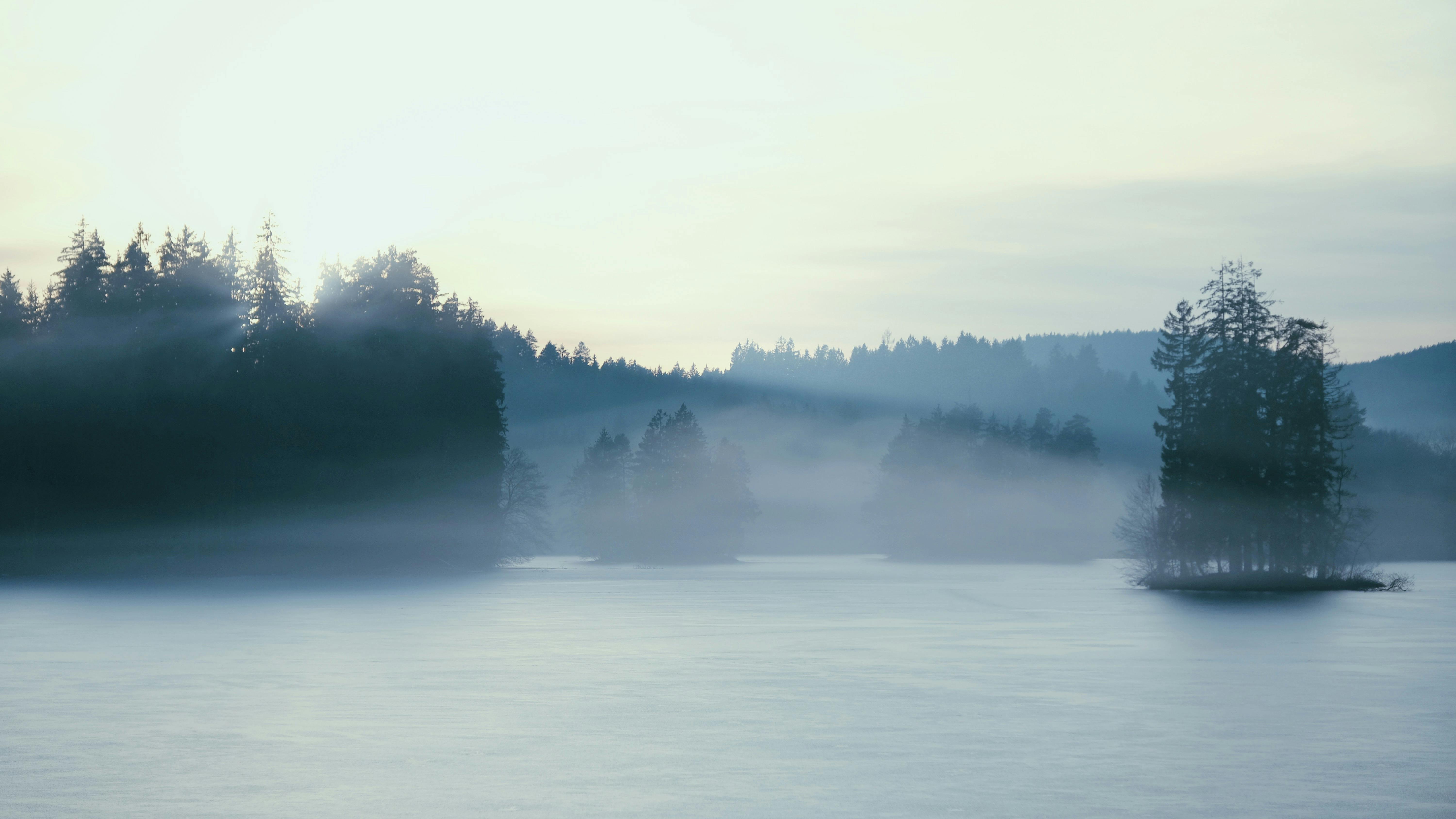 Fog over Lake with Islands with Trees · Free Stock Photo