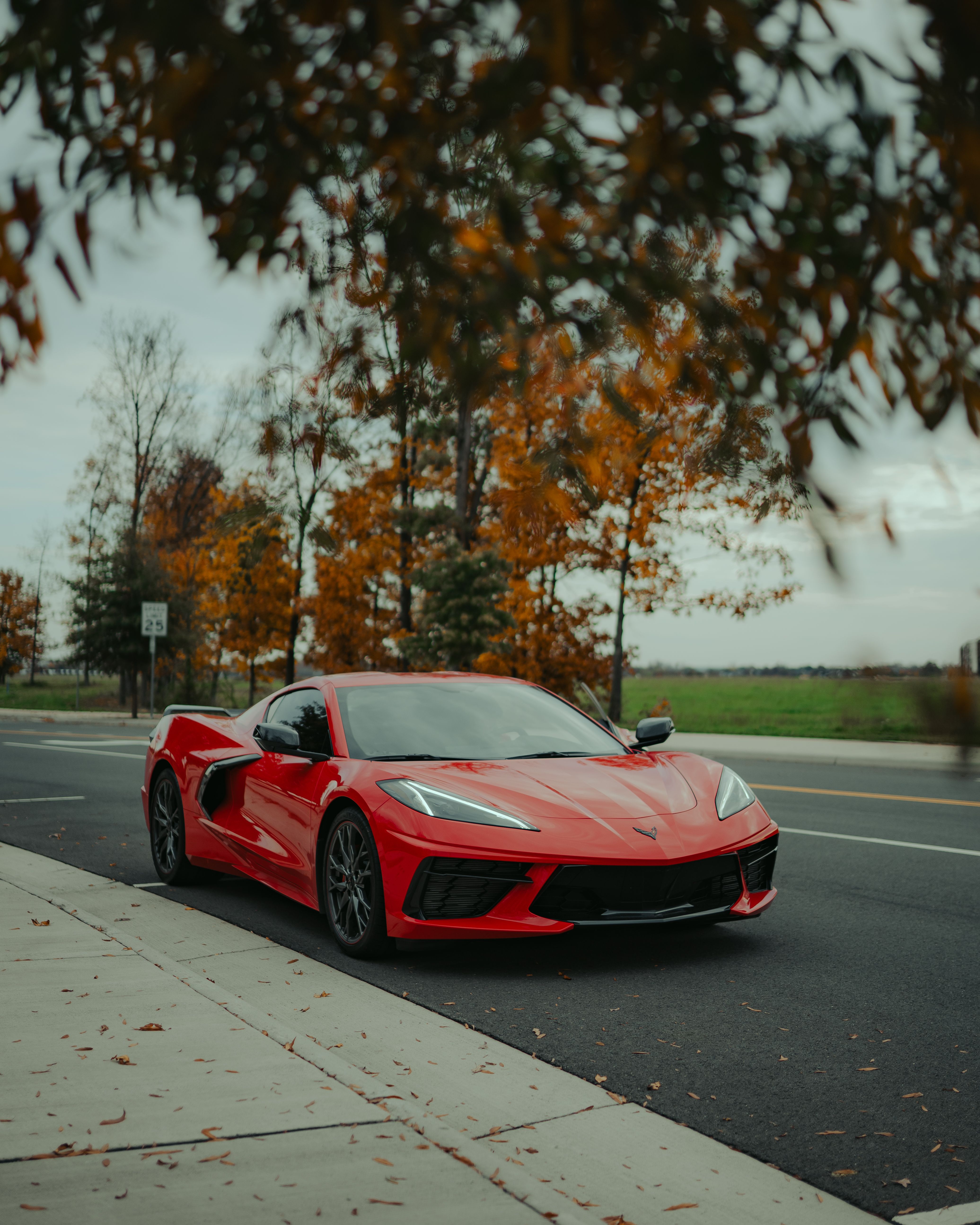 Red Chevrolet Corvette C8 on a Parking Lot by the Autumn Trees · Free ...