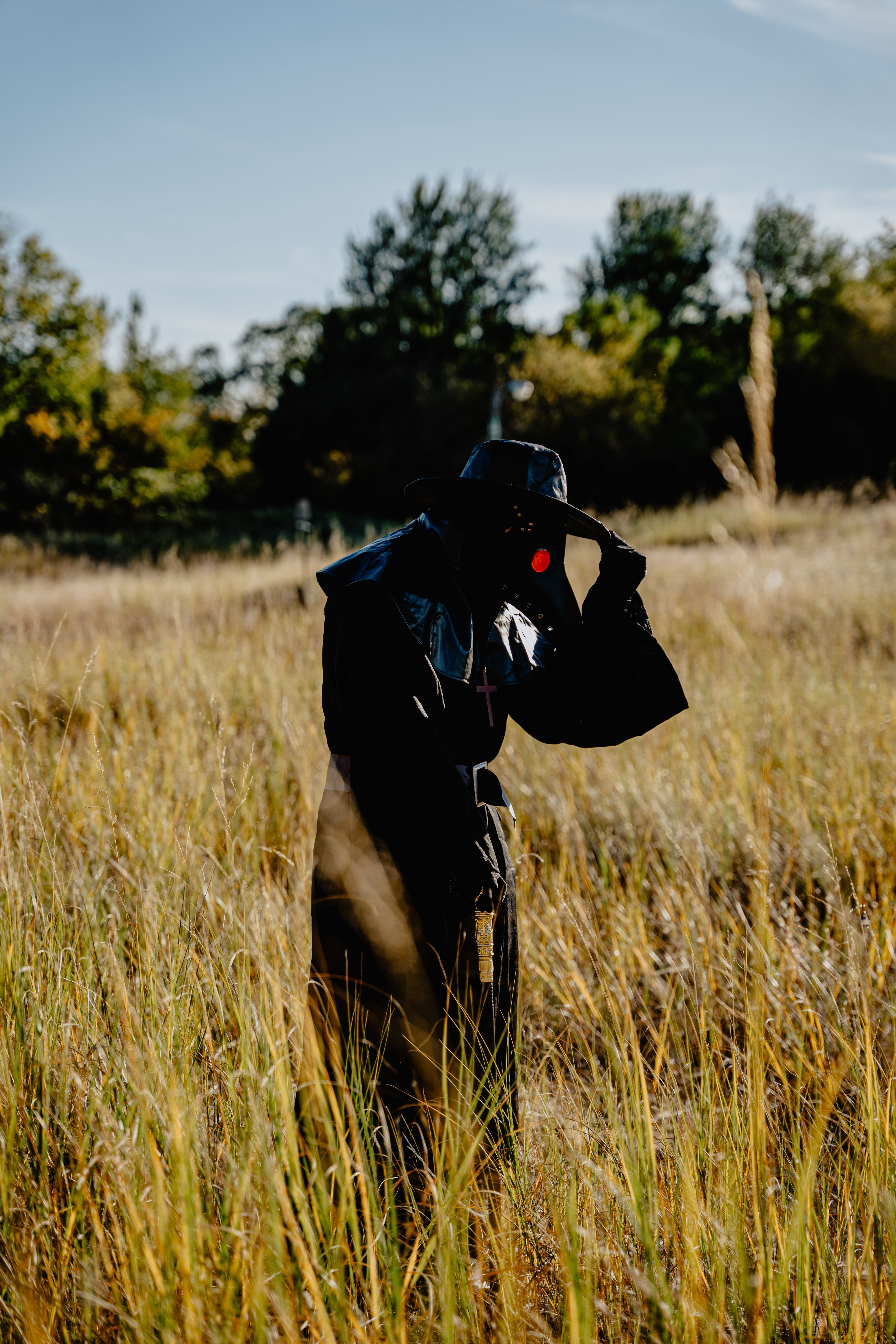Person in Plague Doctor Costume Standing in Hayfield · Free Stock Photo