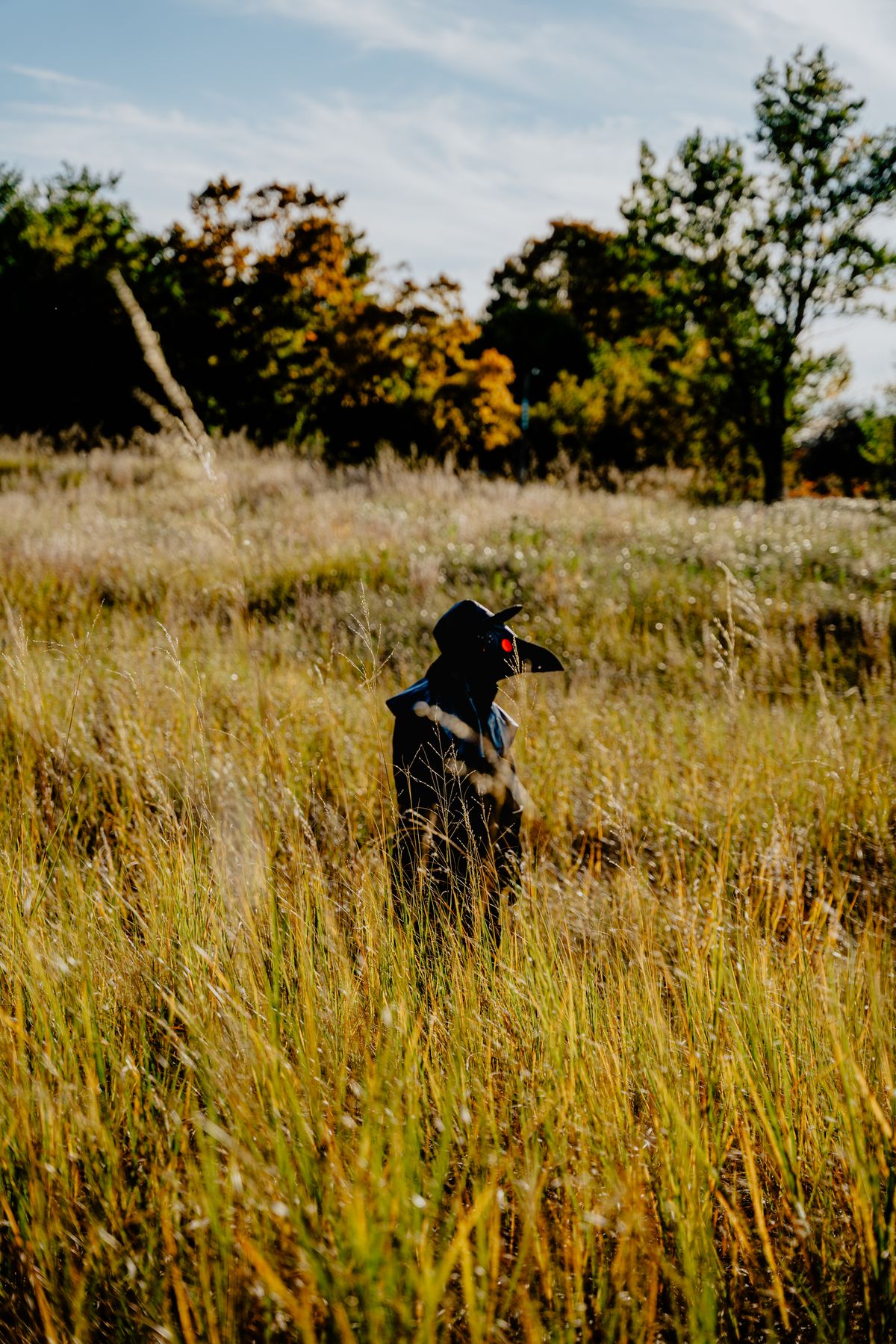 Suspense Photos, Download The BEST Free Suspense Stock Photos & HD Images