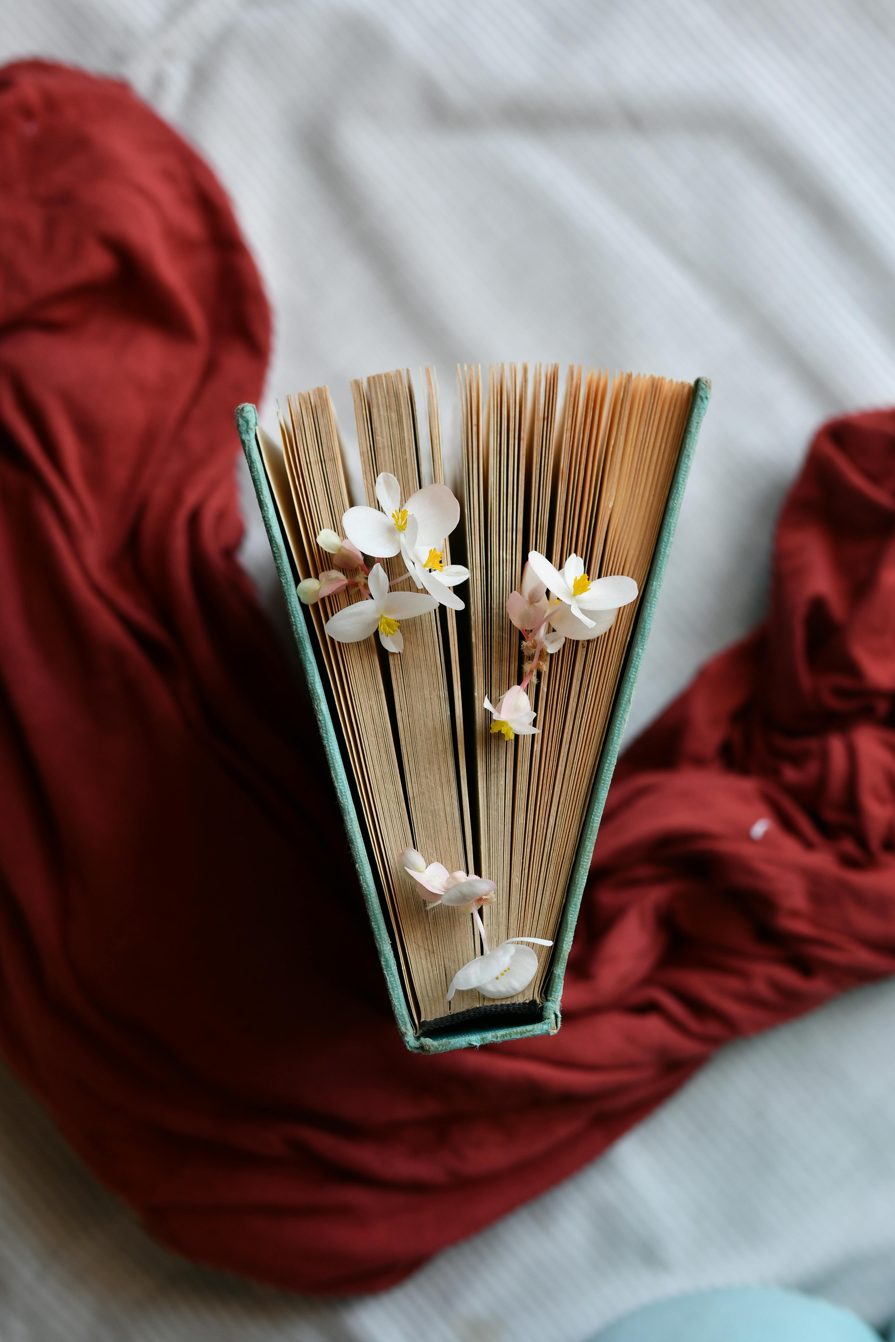 A Book with Flowers between the Pages · Free Stock Photo