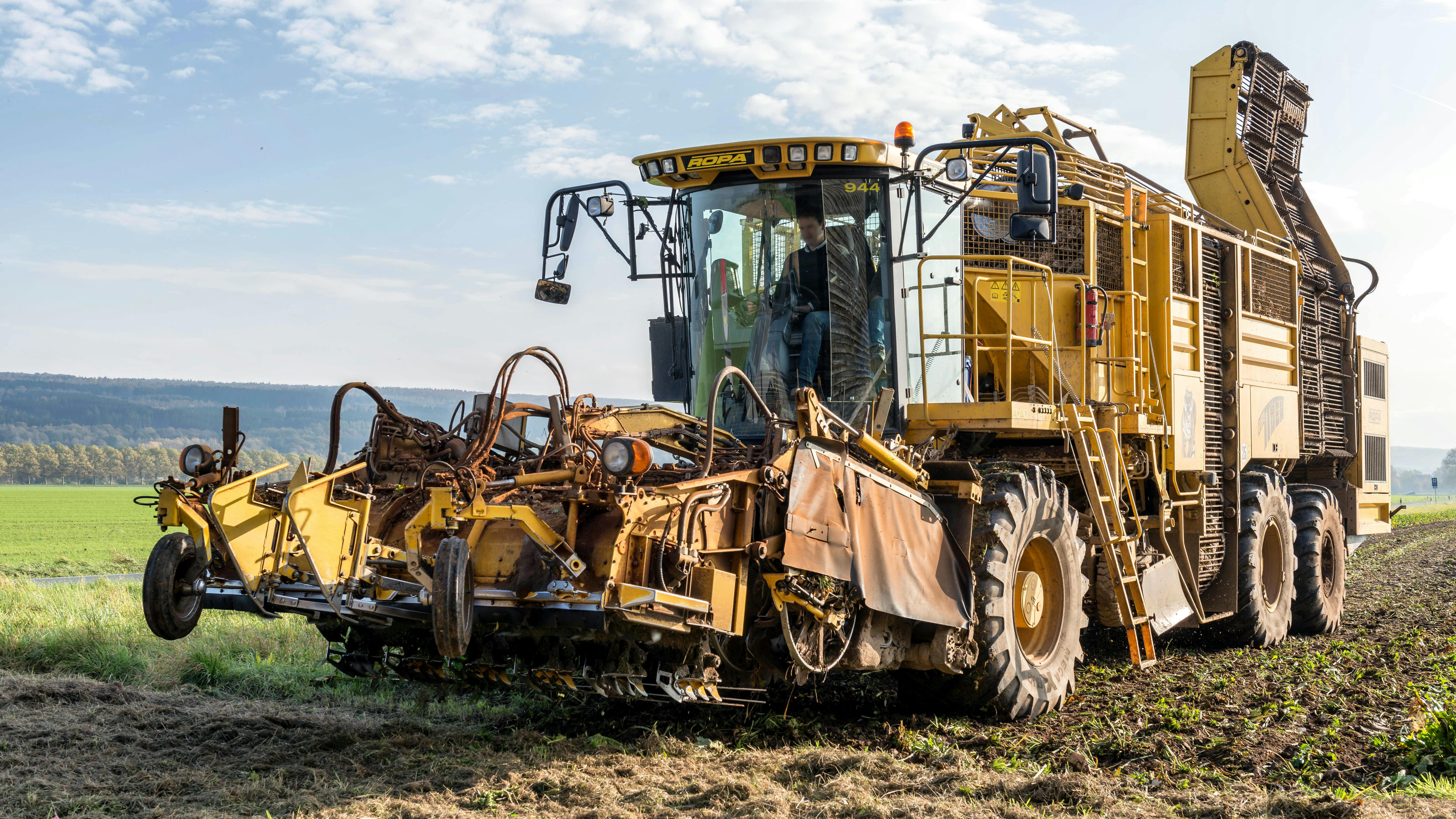 248+ Fotos y Imágenes de Segadores Gratis · Banco de Fotos Gratis