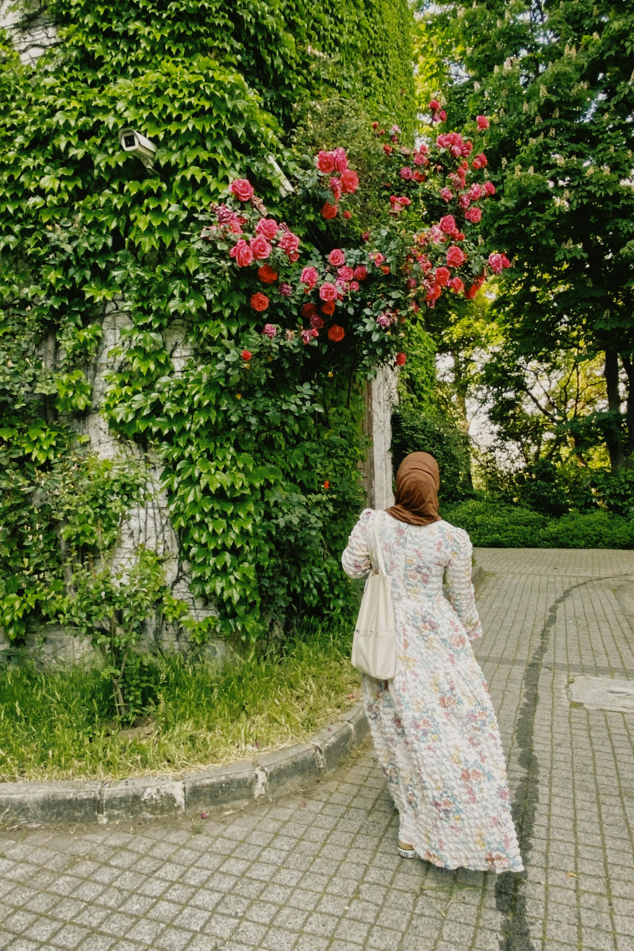 Ivy And Flowers Photos, Download The BEST Free Ivy And Flowers Stock ...