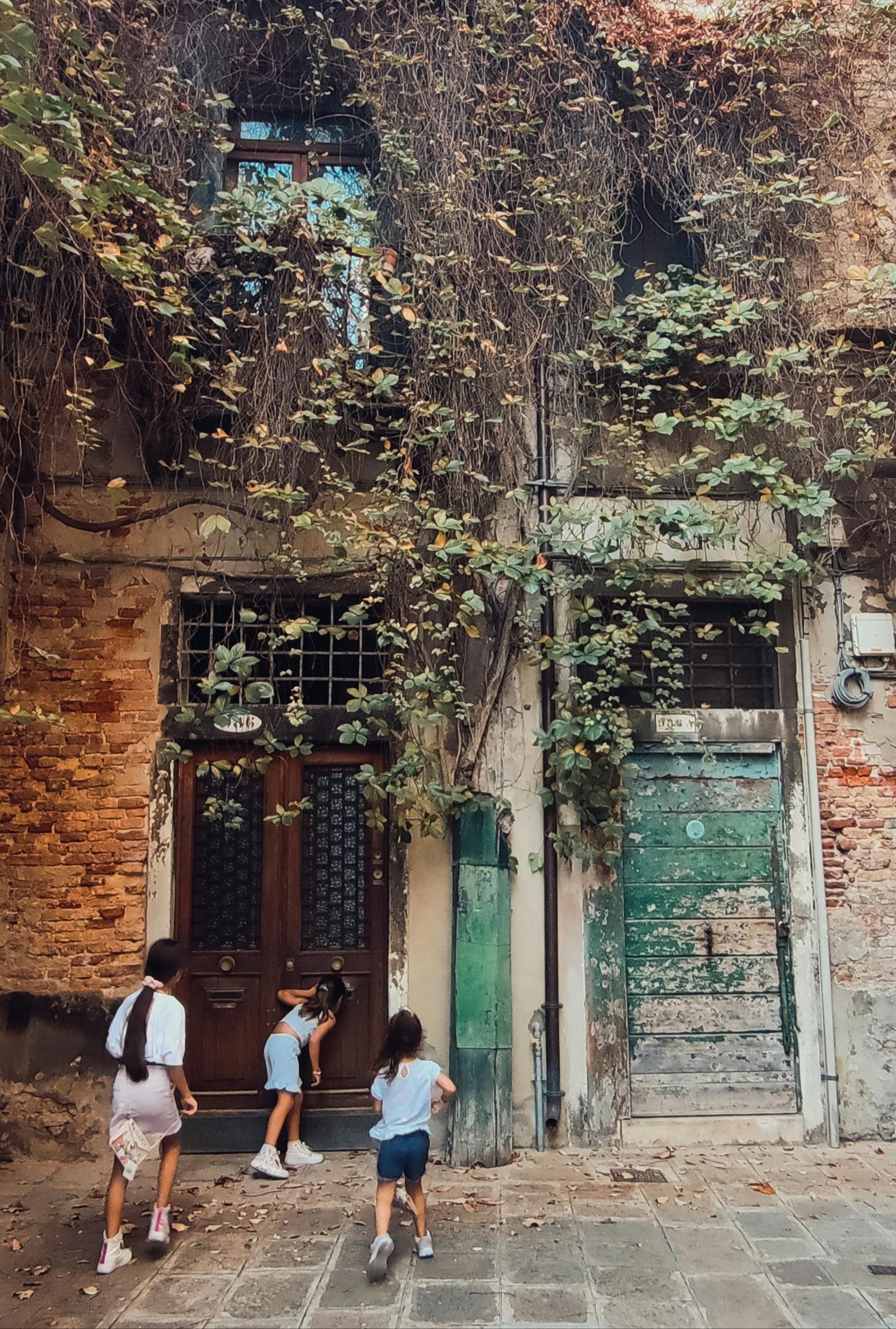 ana simona bevecz - Photography