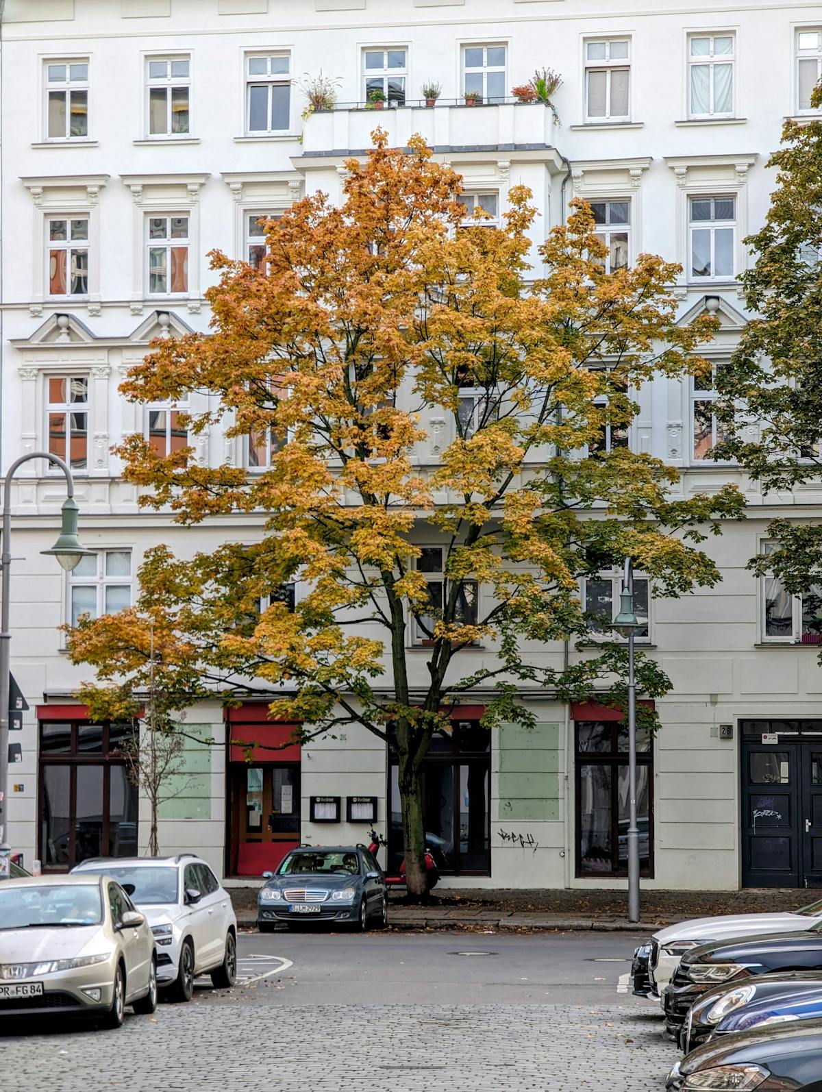 Fall City Photos, Download The BEST Free Fall City Stock Photos & HD Images