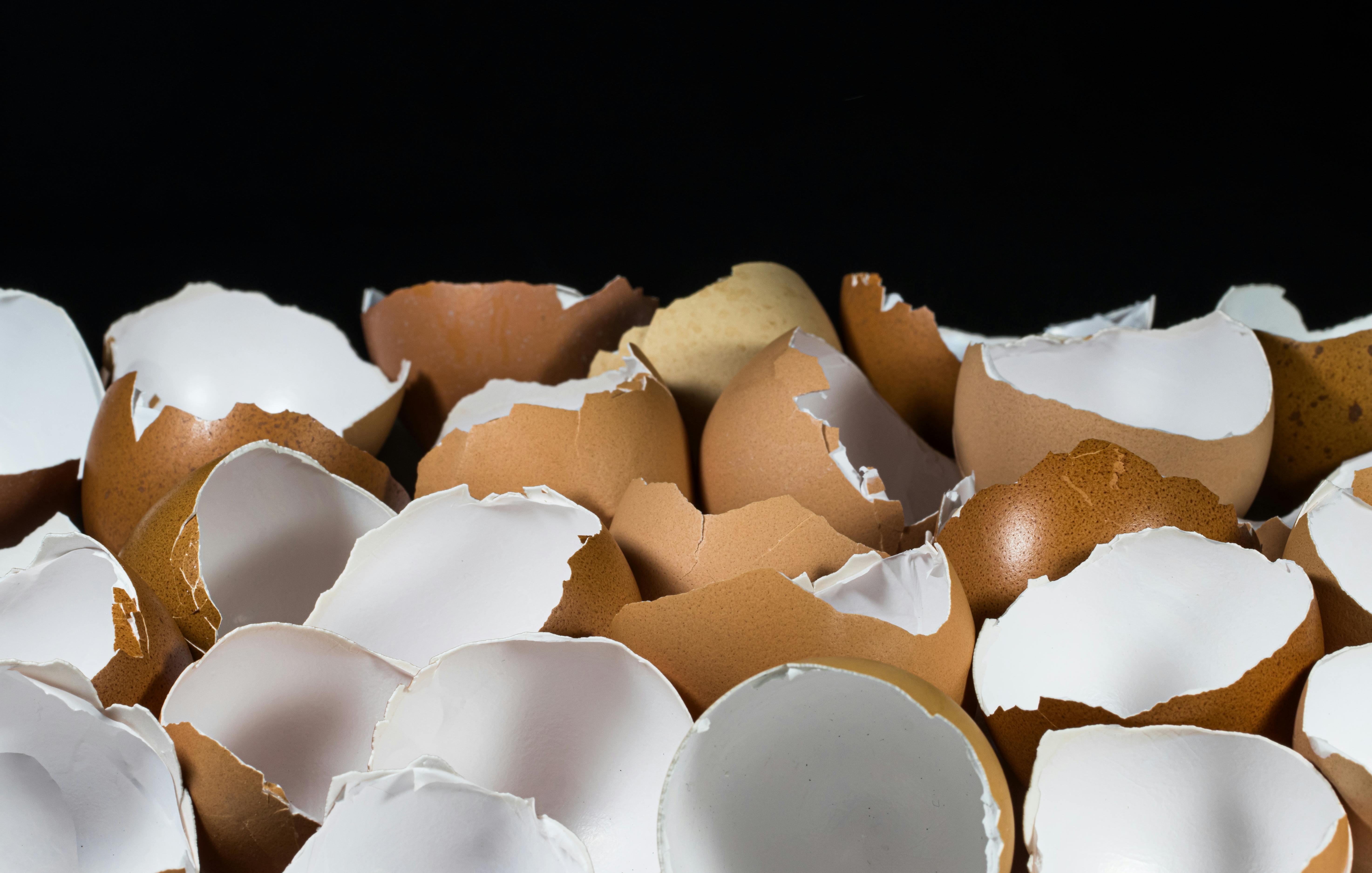 Compost Worm Eggs: How Wiggler Eggs Grow and Hatch in Soil