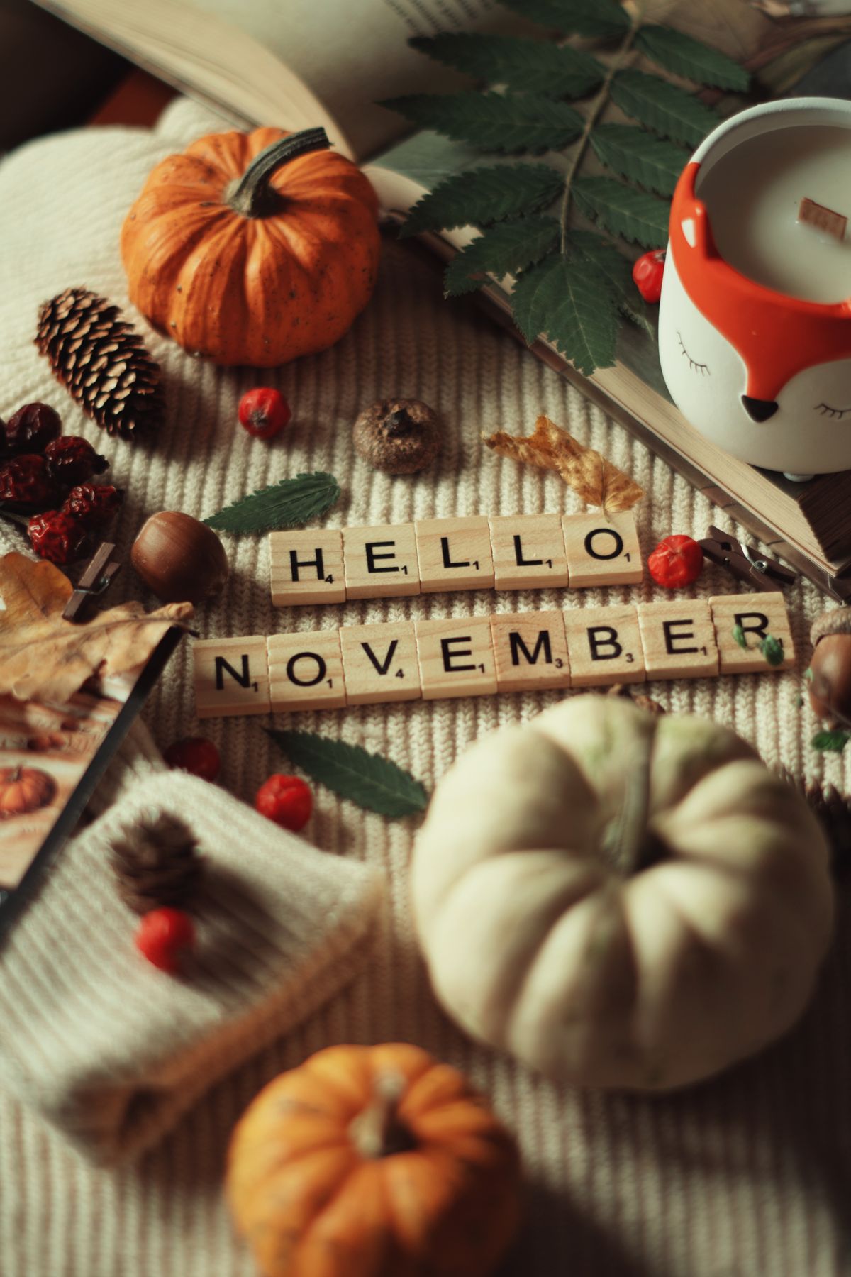 November Photos, Download The BEST Free November Stock Photos & HD Images