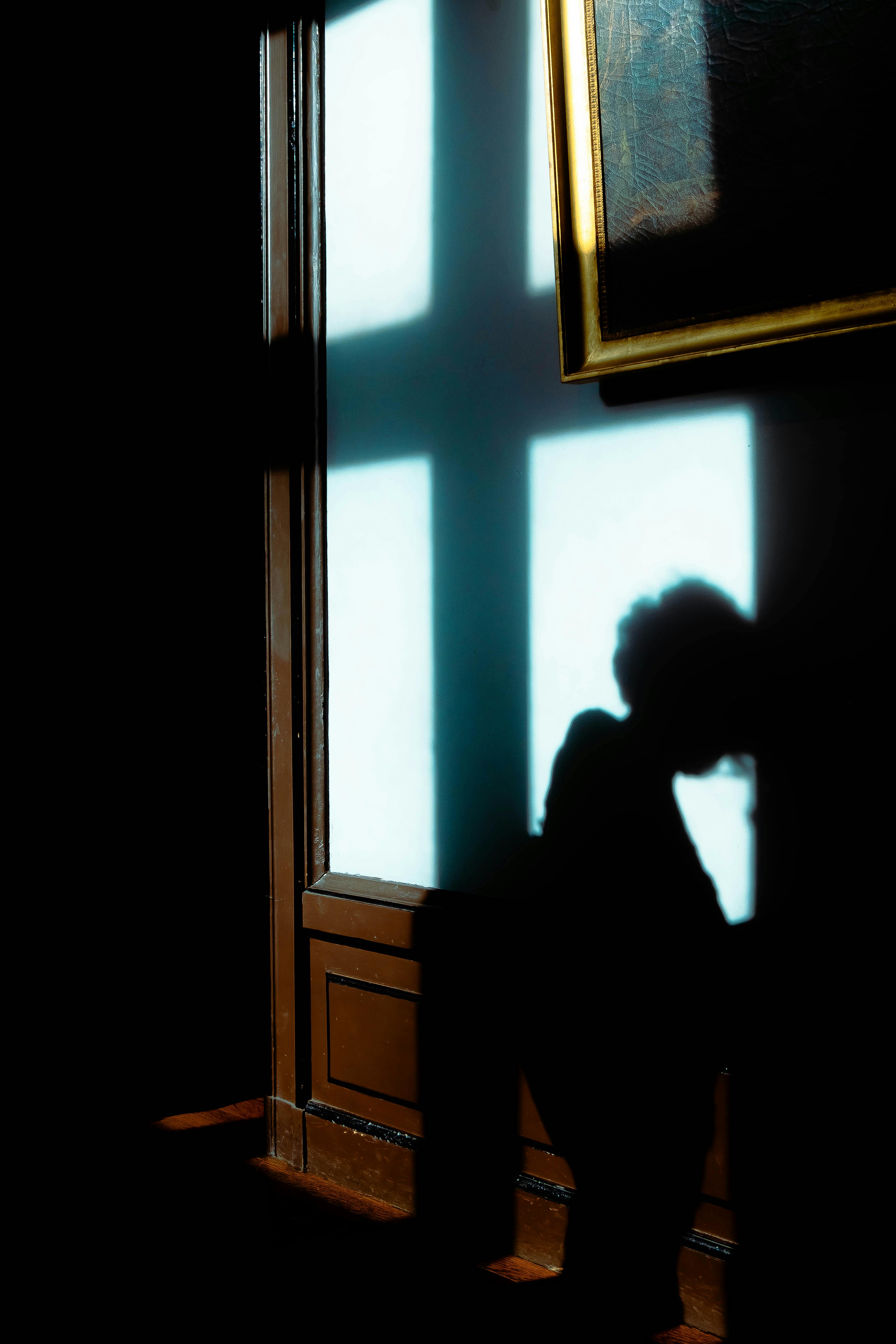 Woman Shadow under Painting in Art Gallery · Free Stock Photo