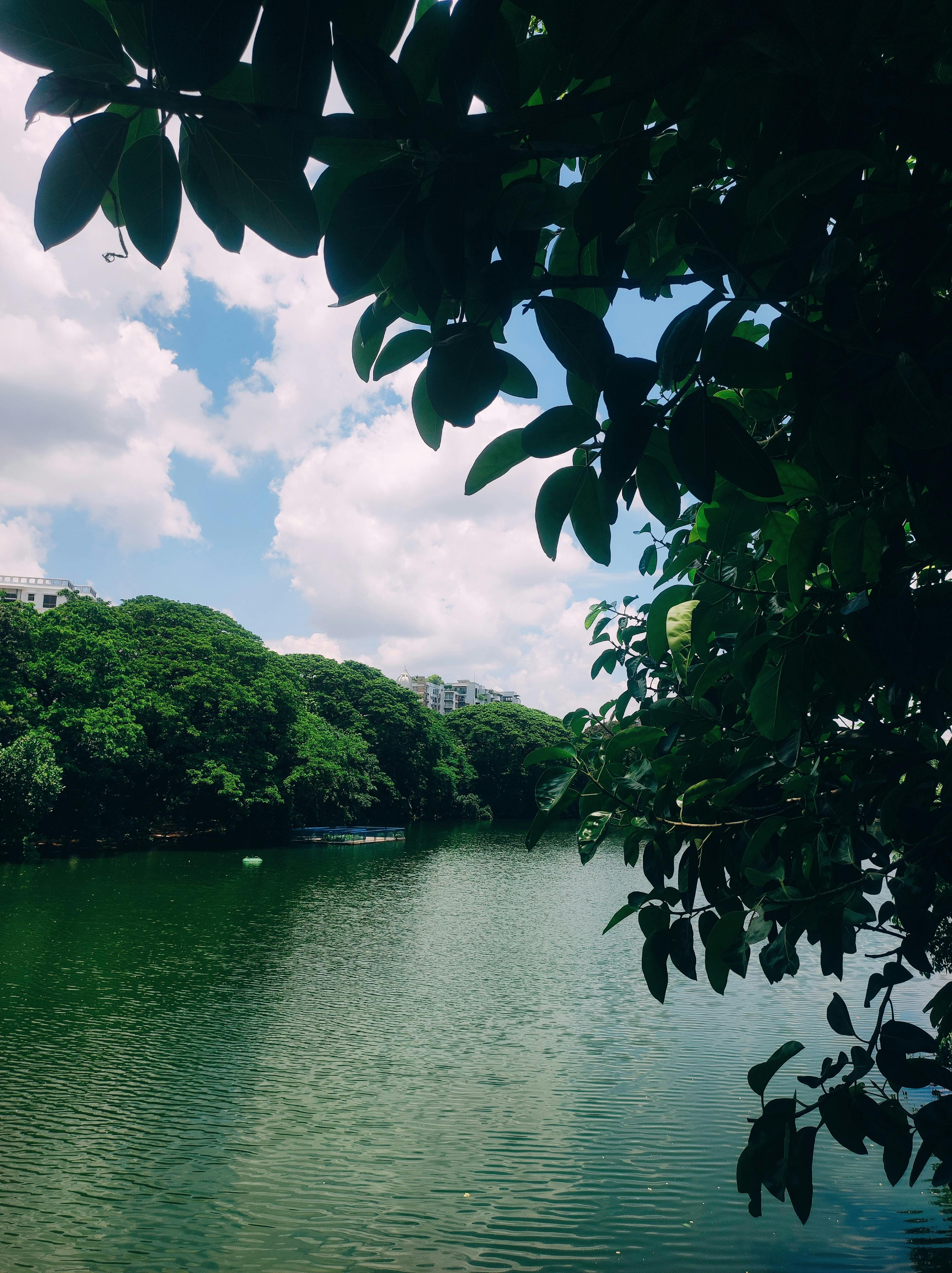 Nusrat Mim - Fotografía