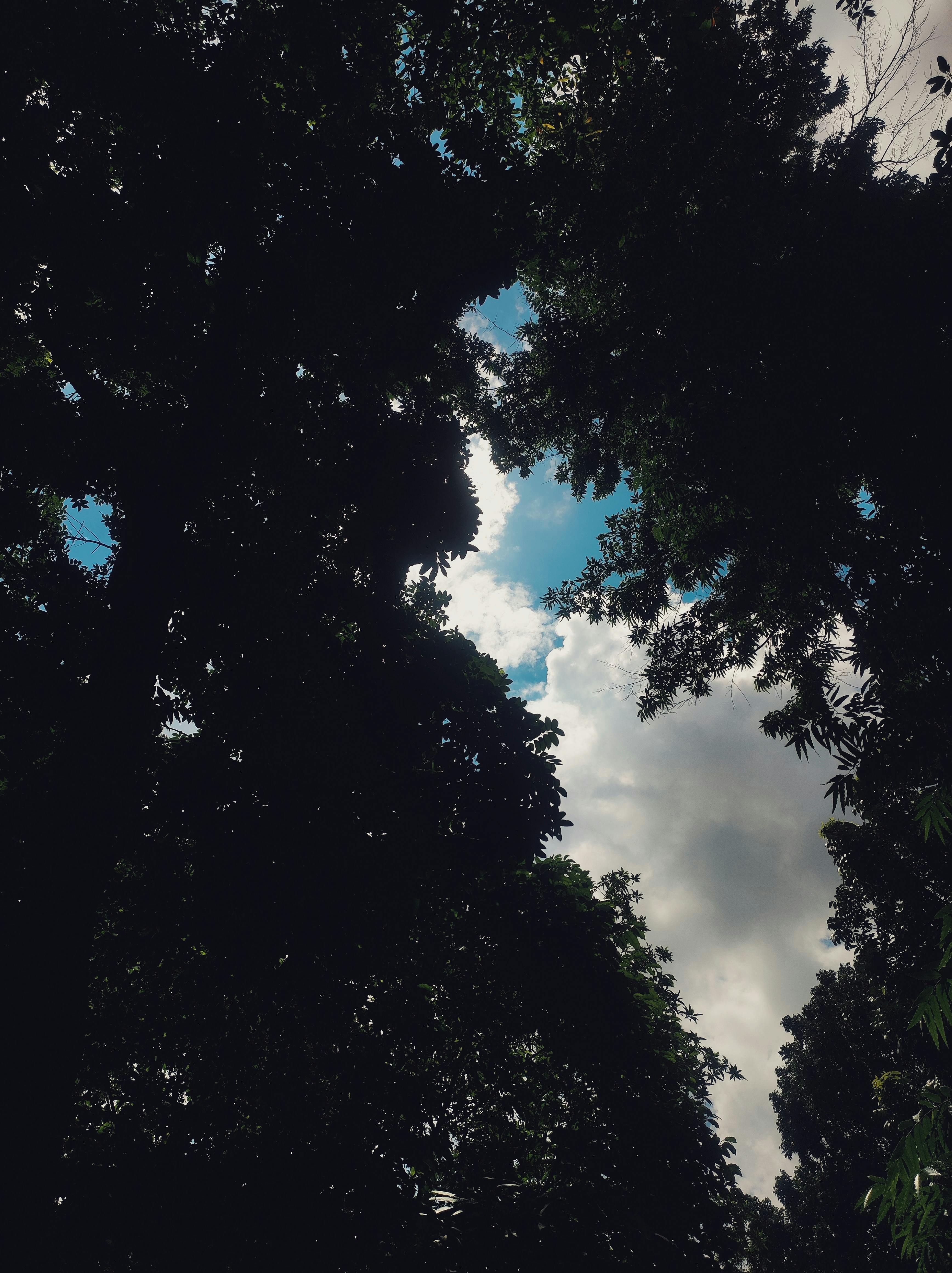 Nusrat Mim - Fotografía