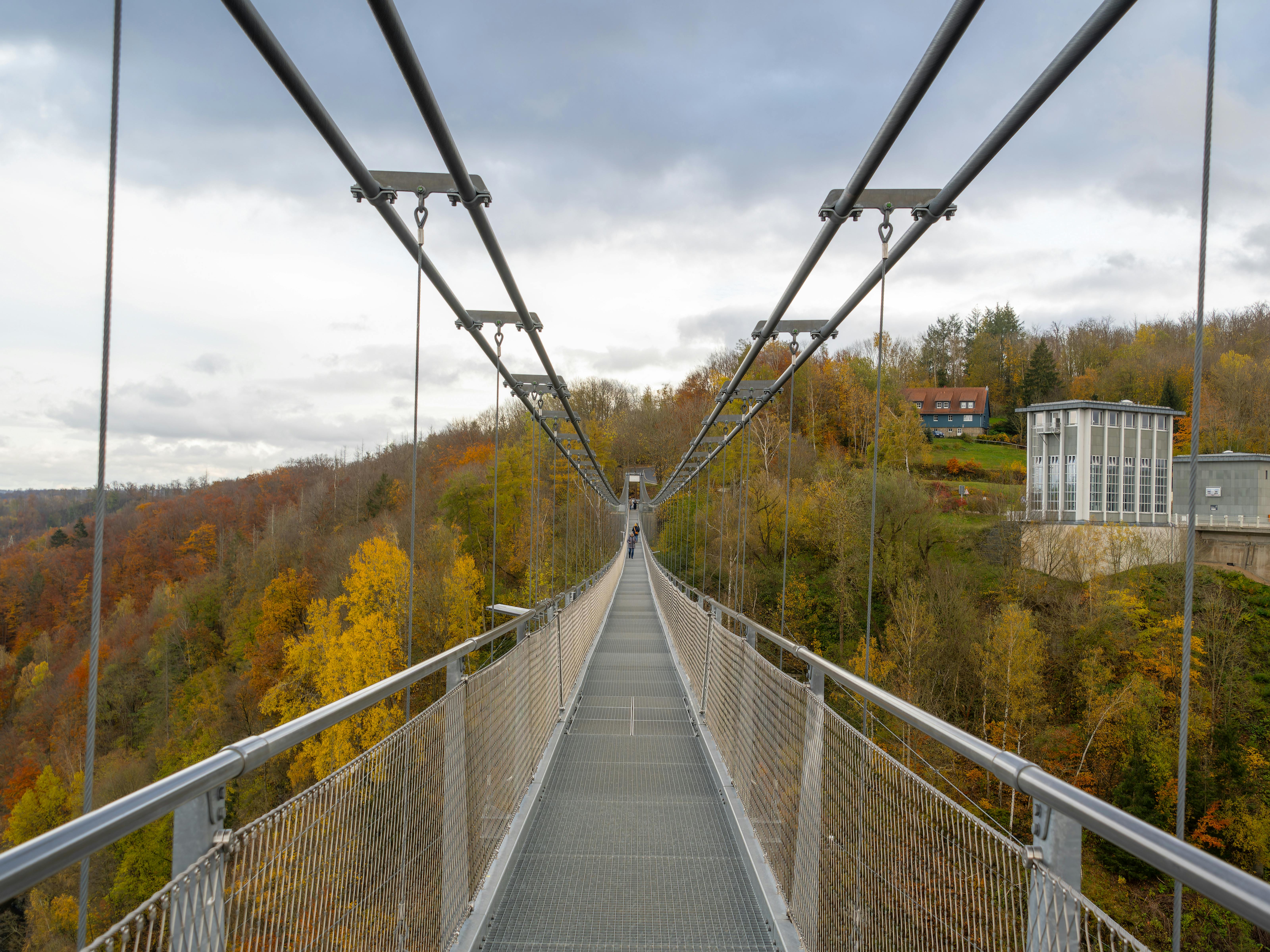 Wooden suspension footbridge through autumn forest · Free Stock Photo
