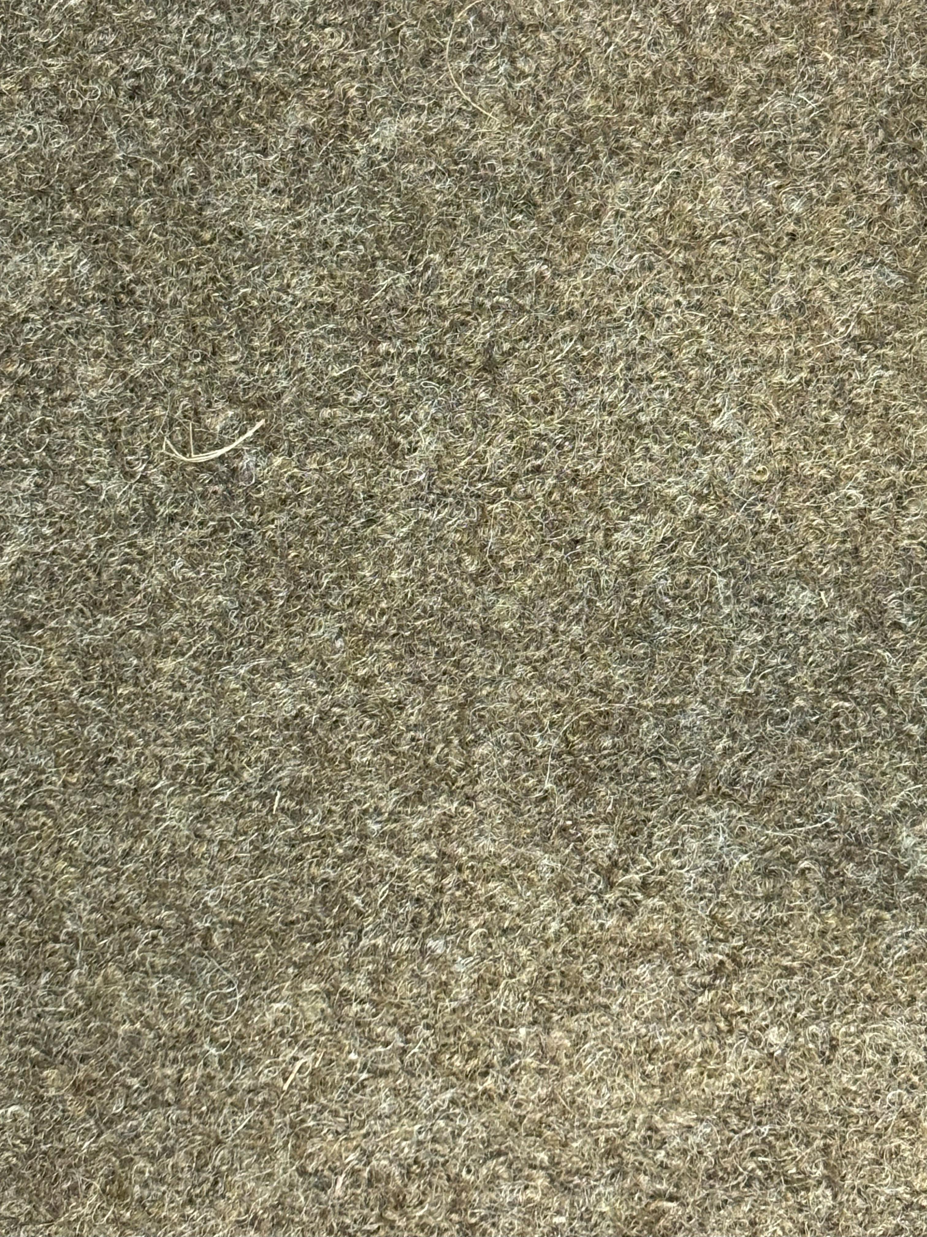 Dive In Canada - 写真