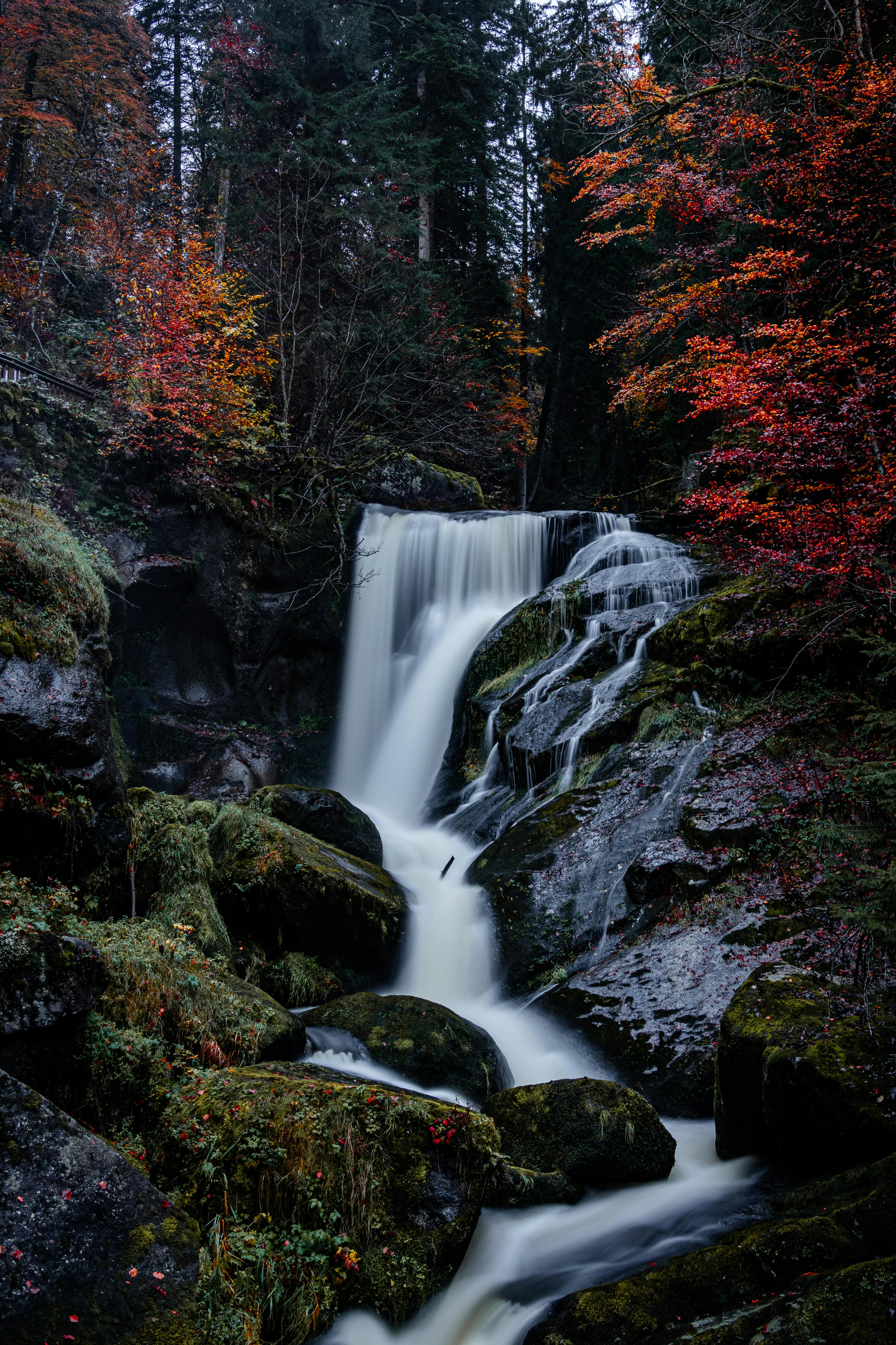 Waterfall in Autumn Forest · Free Stock Photo
