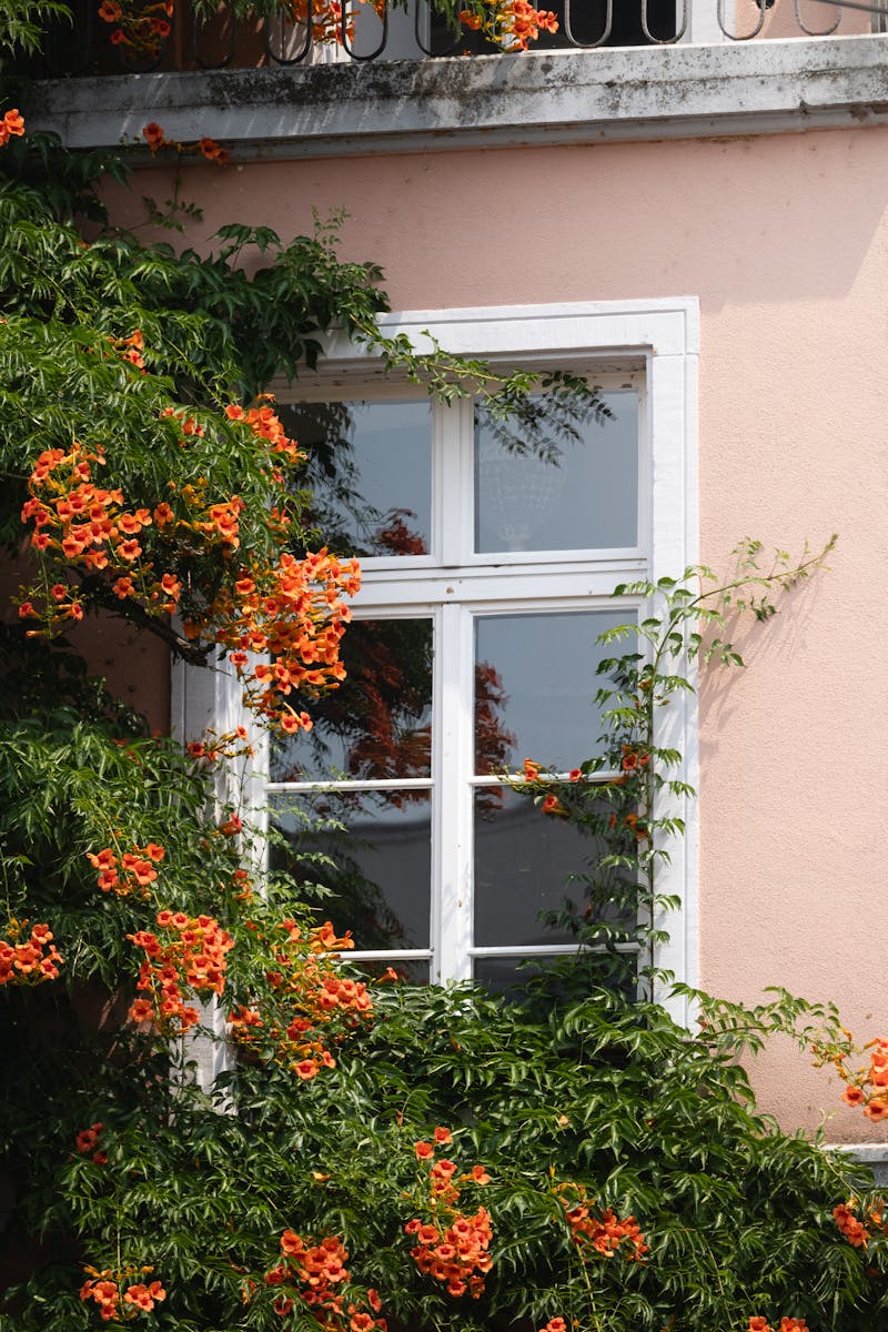 Flower House Wallpaper Photos, Download The BEST Free Flower House ...