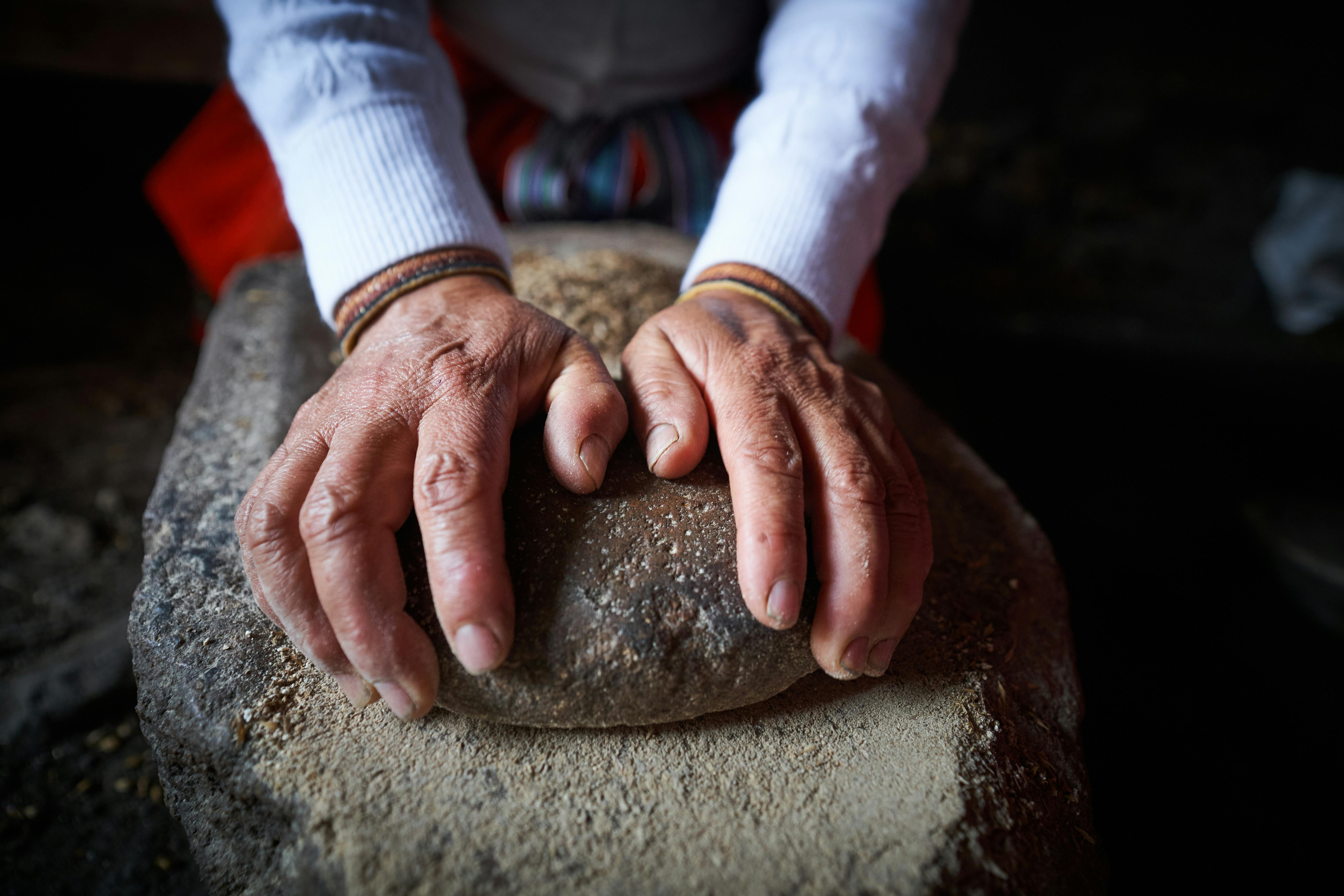 Mesh Of Grind Photos, Download The BEST Free Mesh Of Grind Stock Photos ...