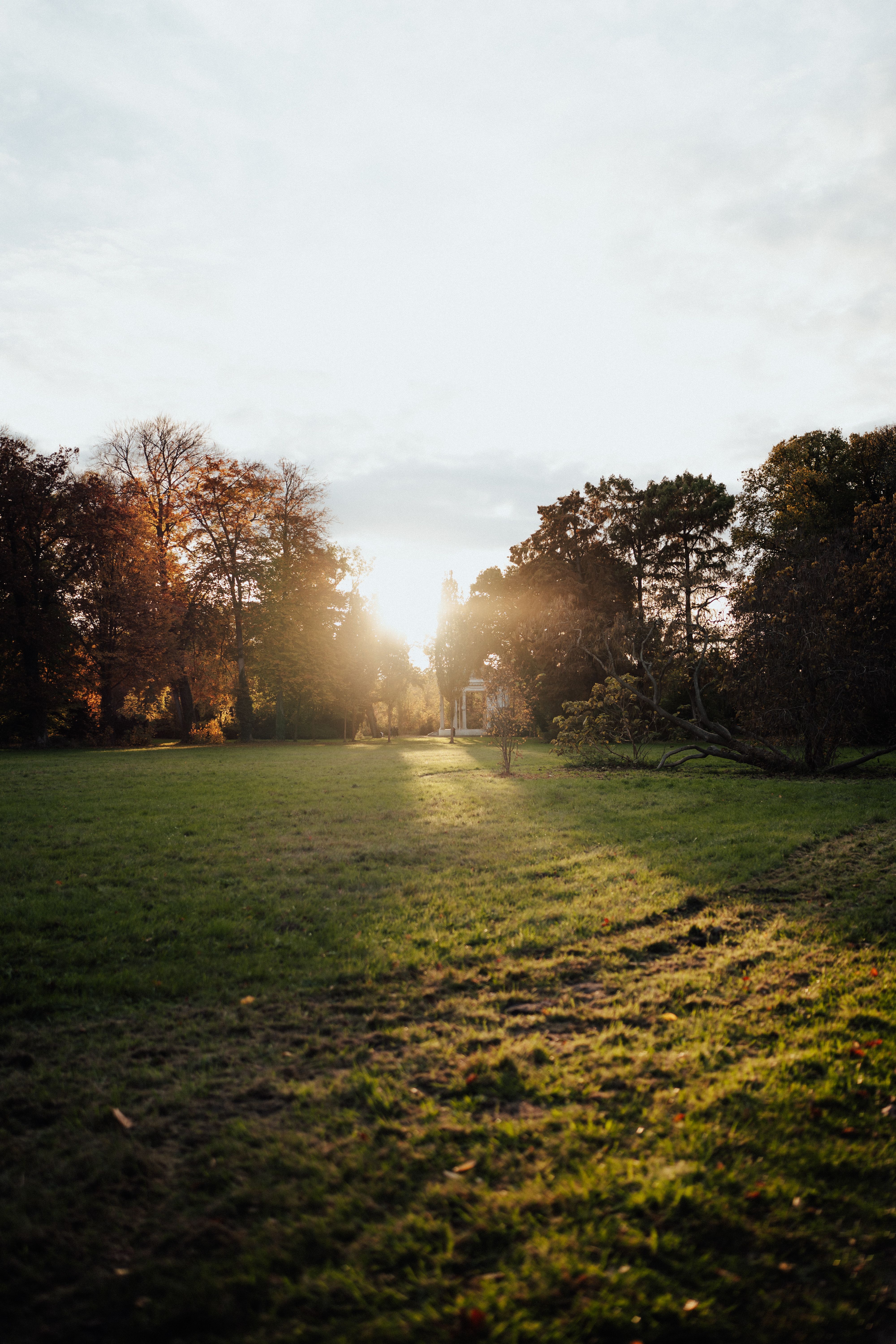 Sunlight Shining on Grass Field in Park · Free Stock Photo