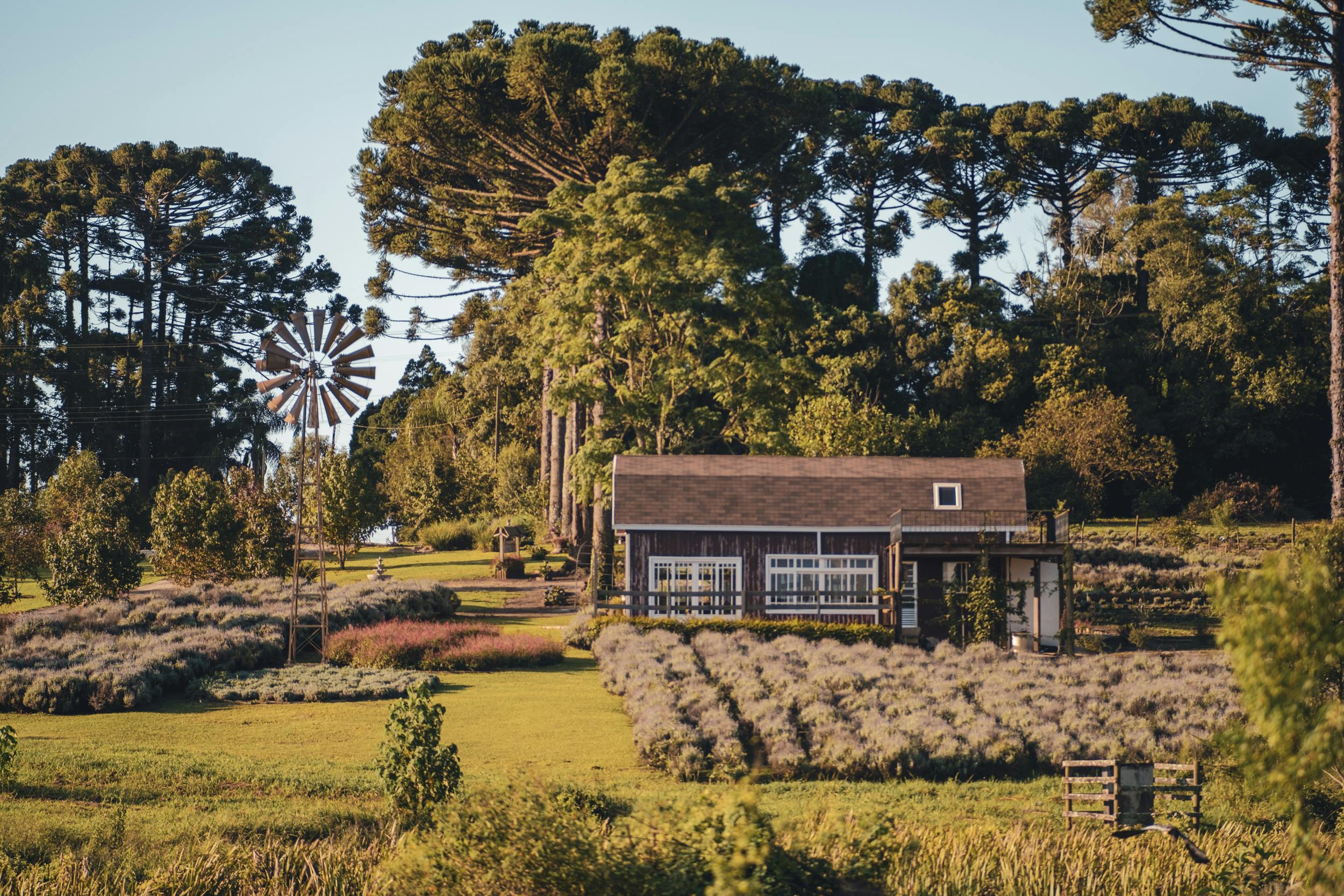 Cinnamon Fields Photos, Download The BEST Free Cinnamon Fields Stock ...