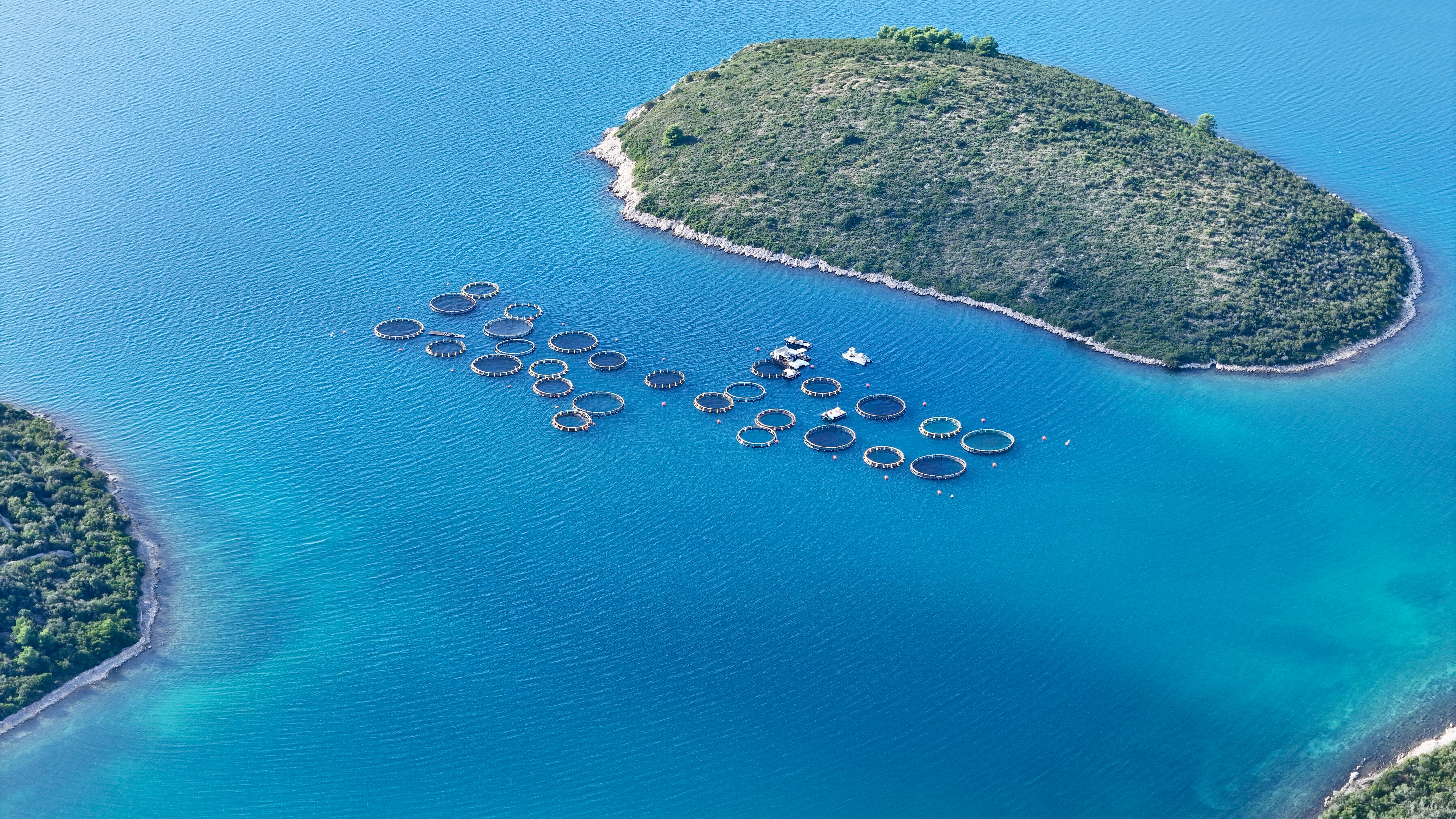 Aerial View of Fish Farm in the Sea Between Islets · Free Stock Photo