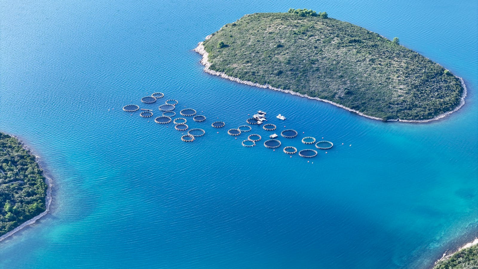 Fish Farm Photos, Download The BEST Free Fish Farm Stock Photos & HD Images