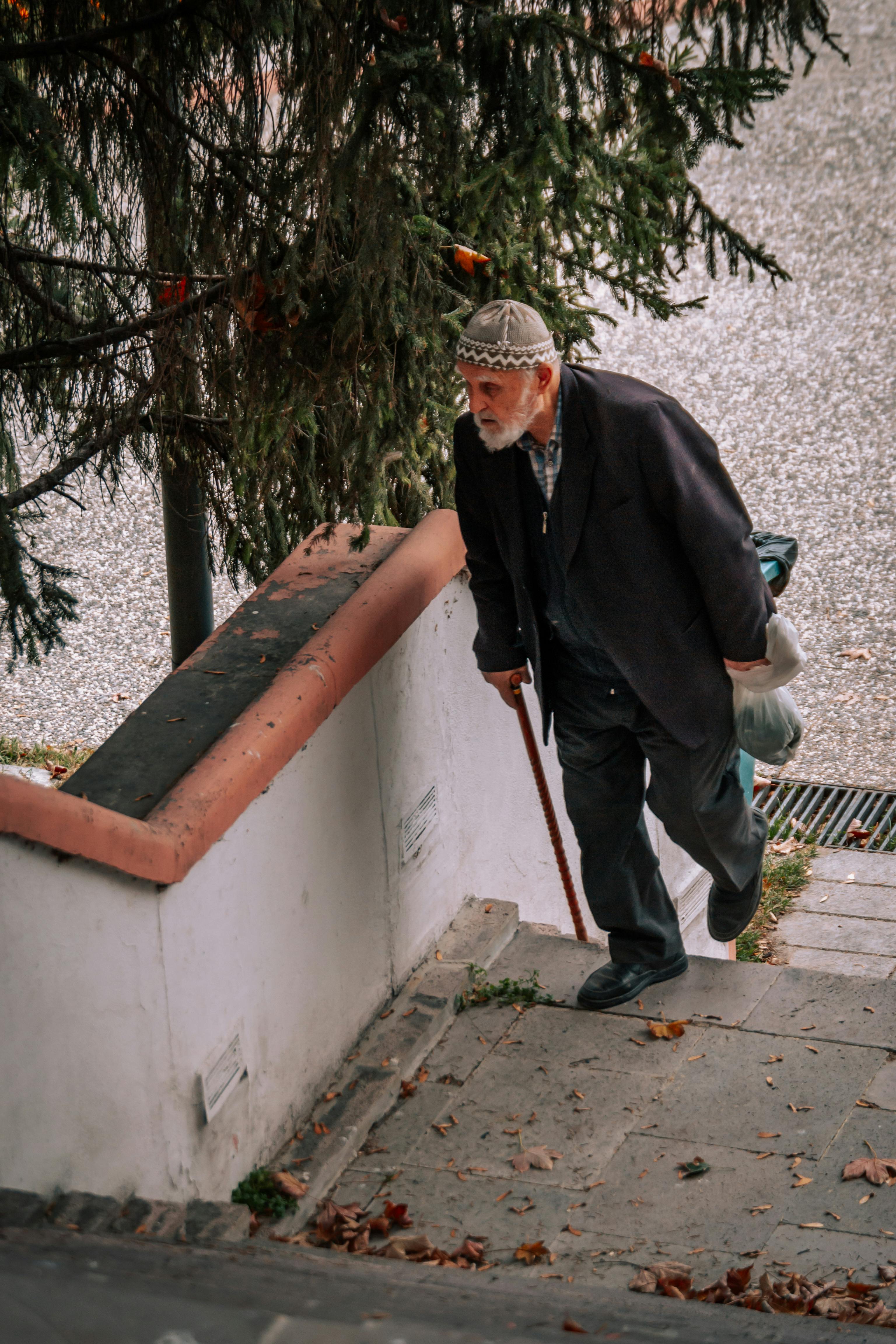 5.549+ Fotos y Imágenes de Roe sticks Gratis · Banco de Fotos Gratis