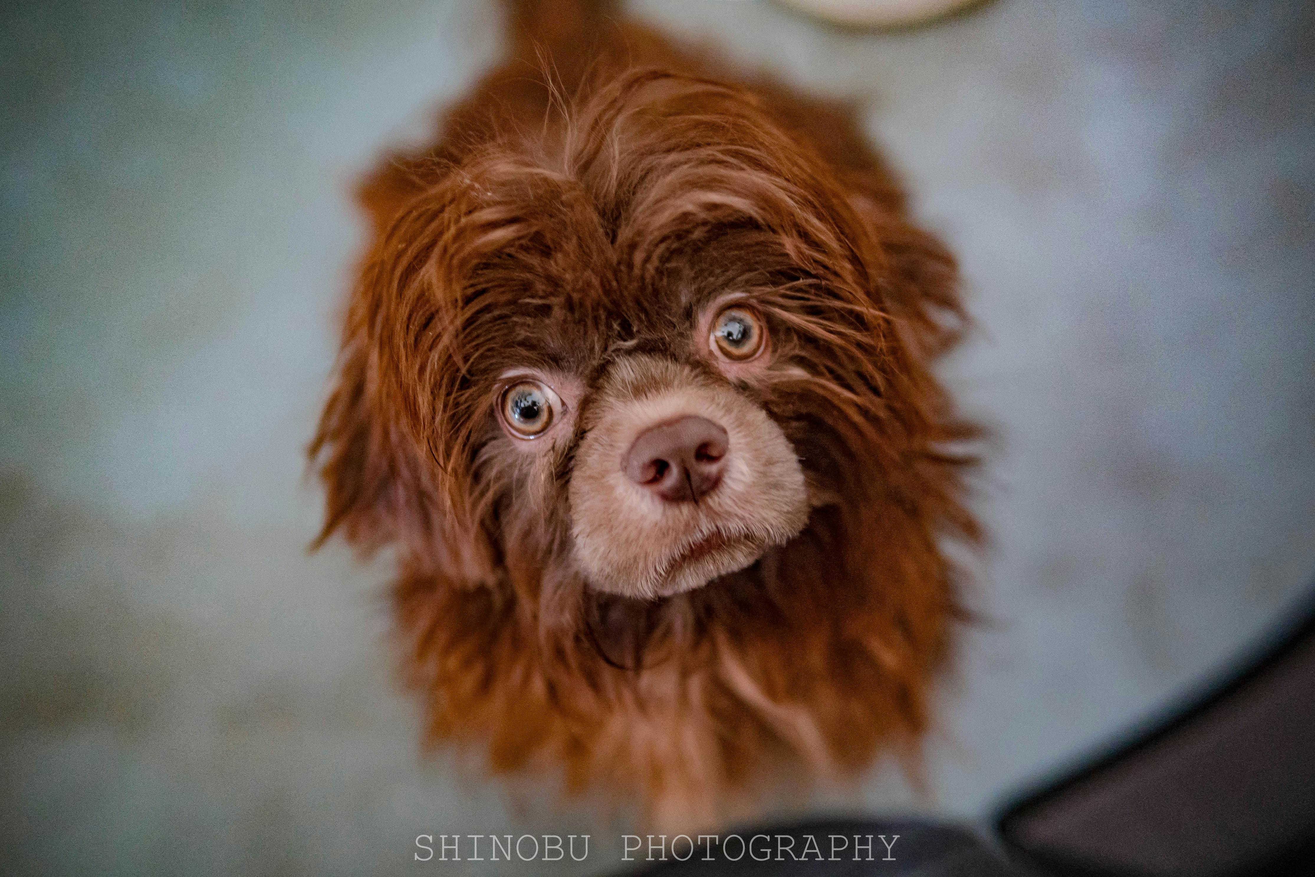 Dex Planet - Photography