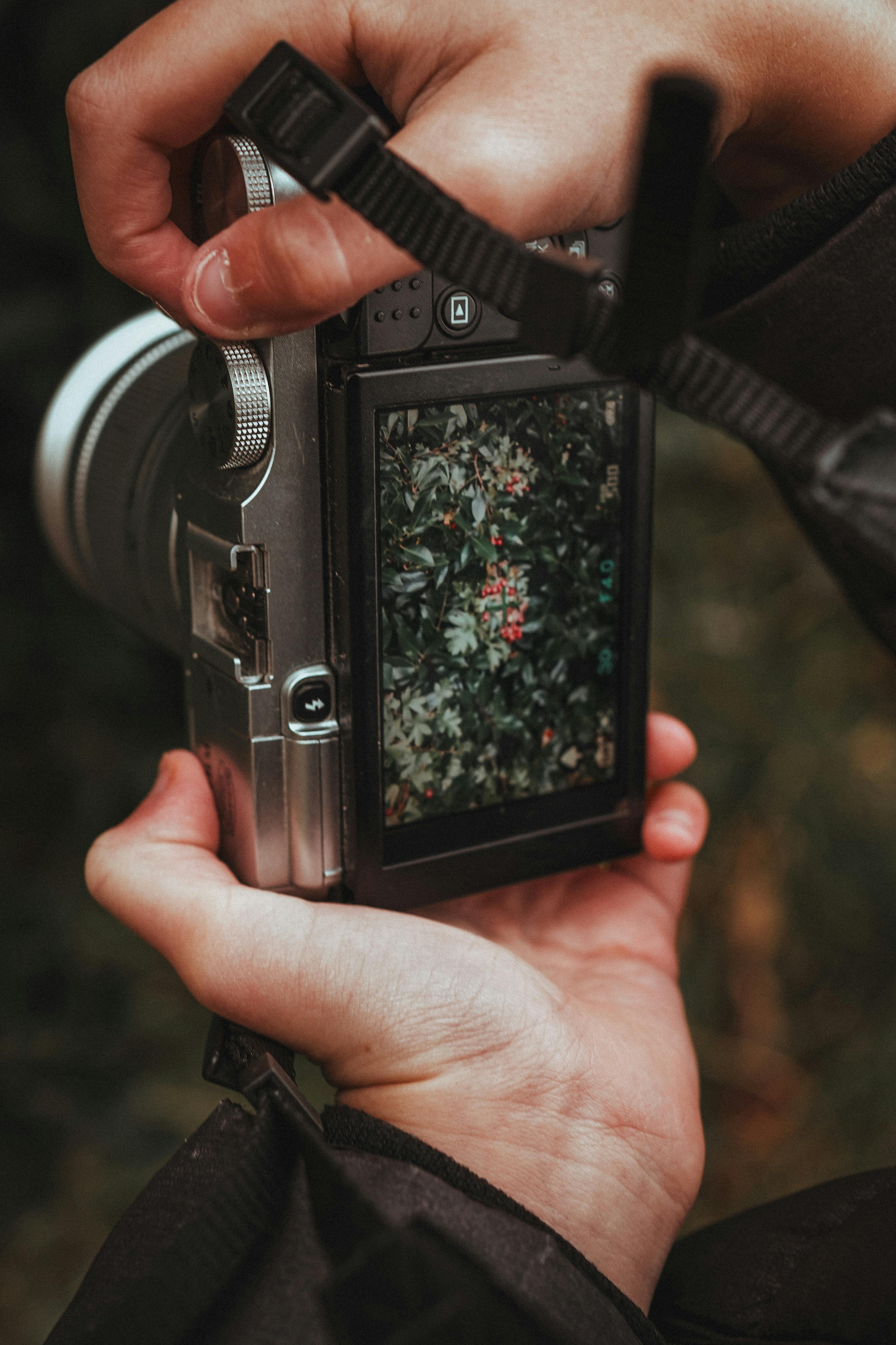 Photographer Taking Photo Photos, Download The BEST Free Photographer ...