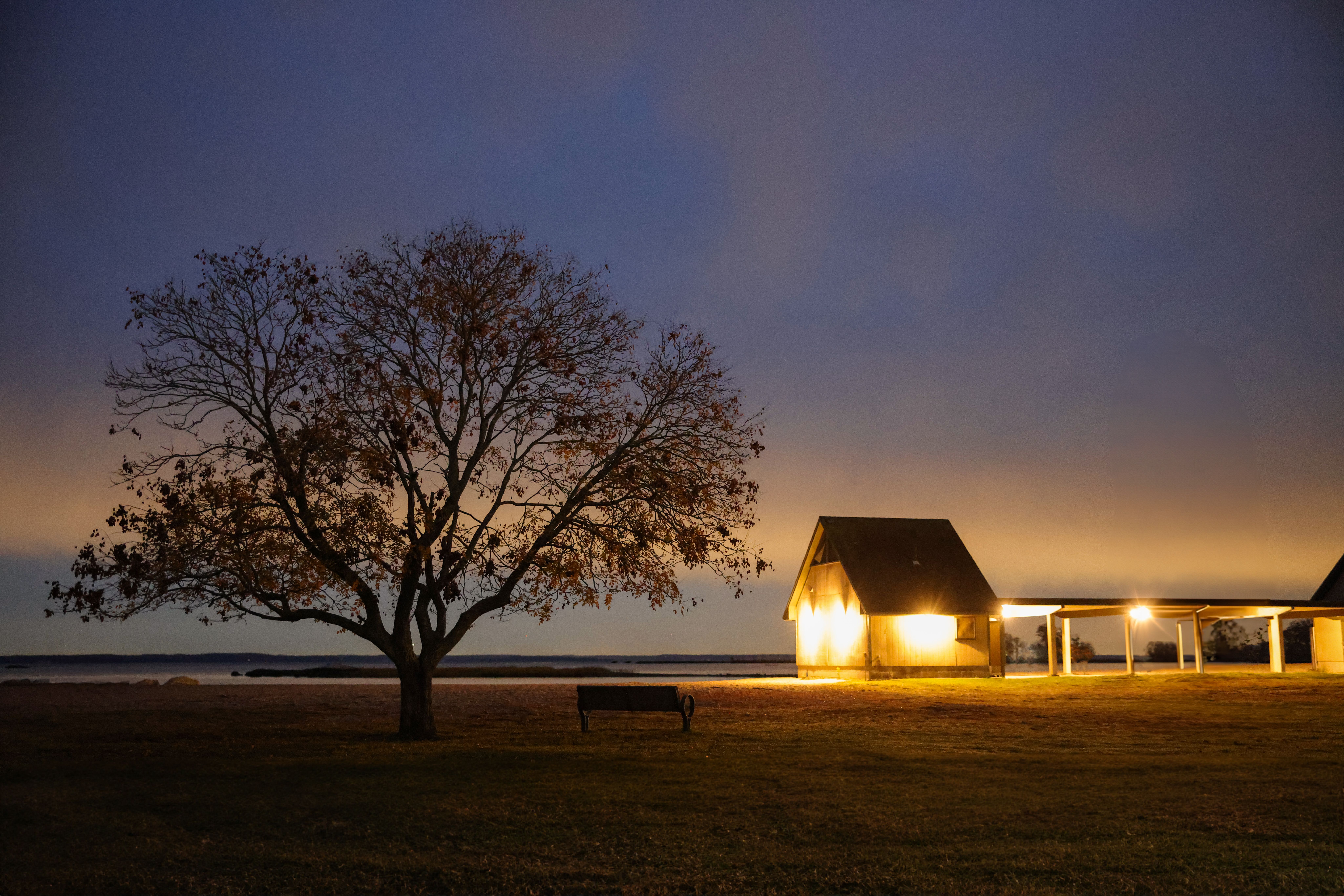 Tree and House · Free Stock Photo