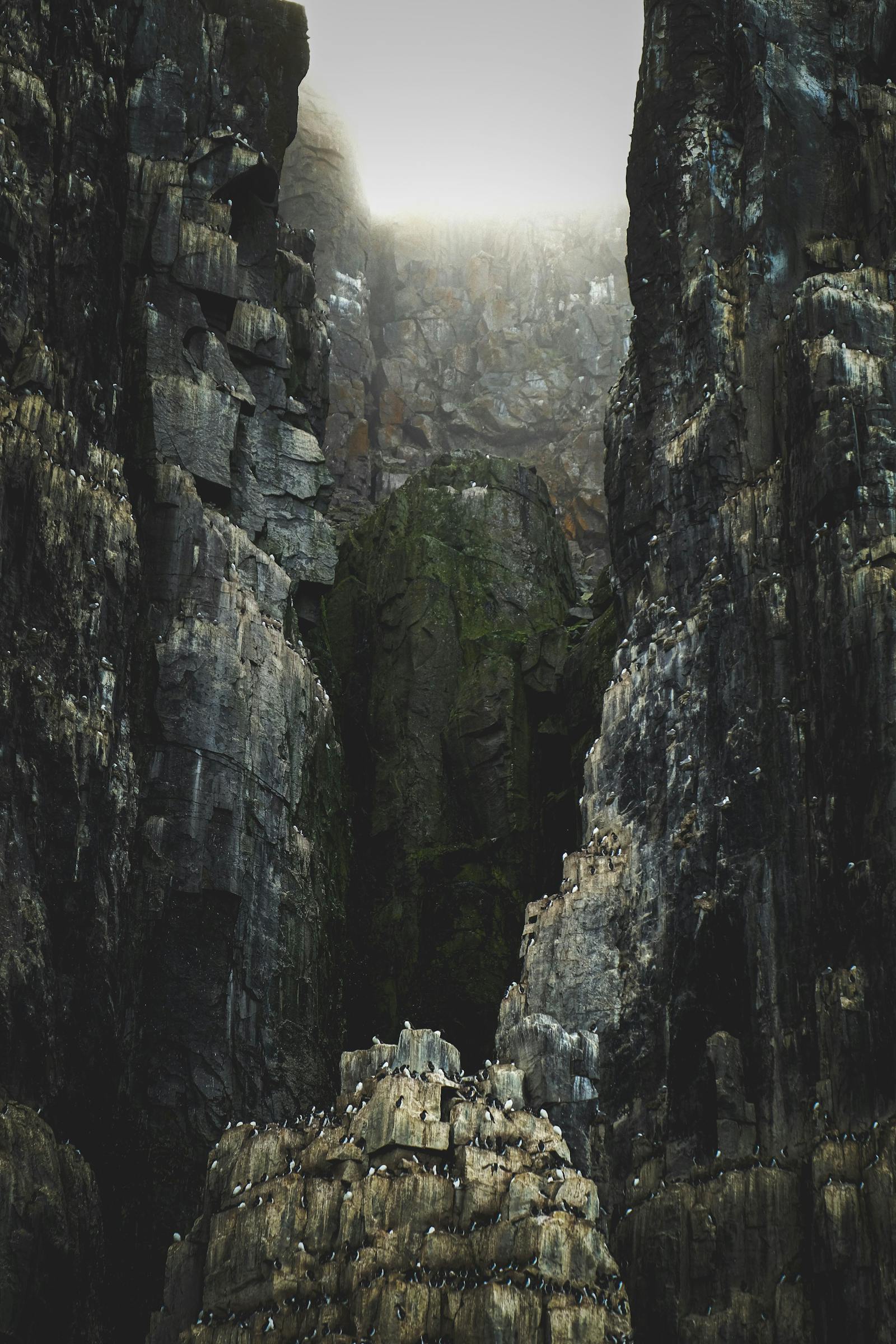 Gorge Wallpaper Photos, Download The BEST Free Gorge Wallpaper Stock ...