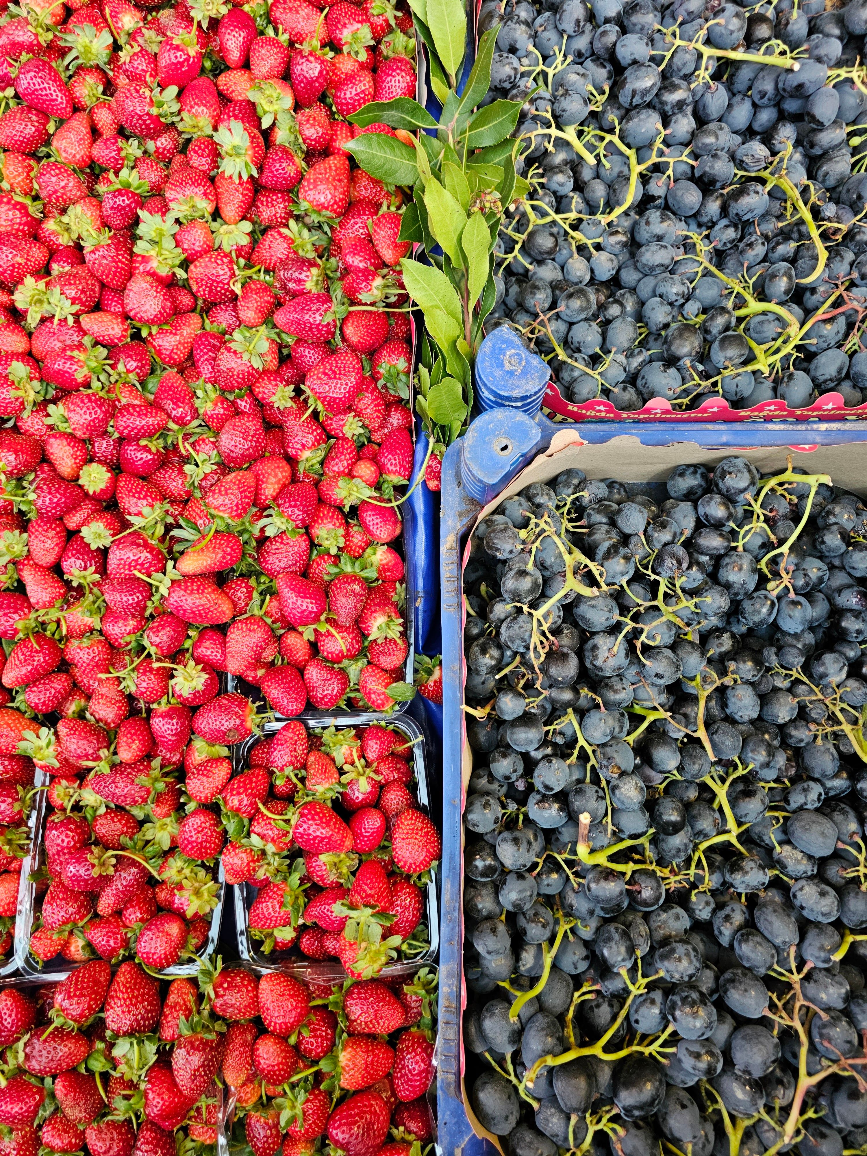 Grapes and Strawberries on Market · Free Stock Photo