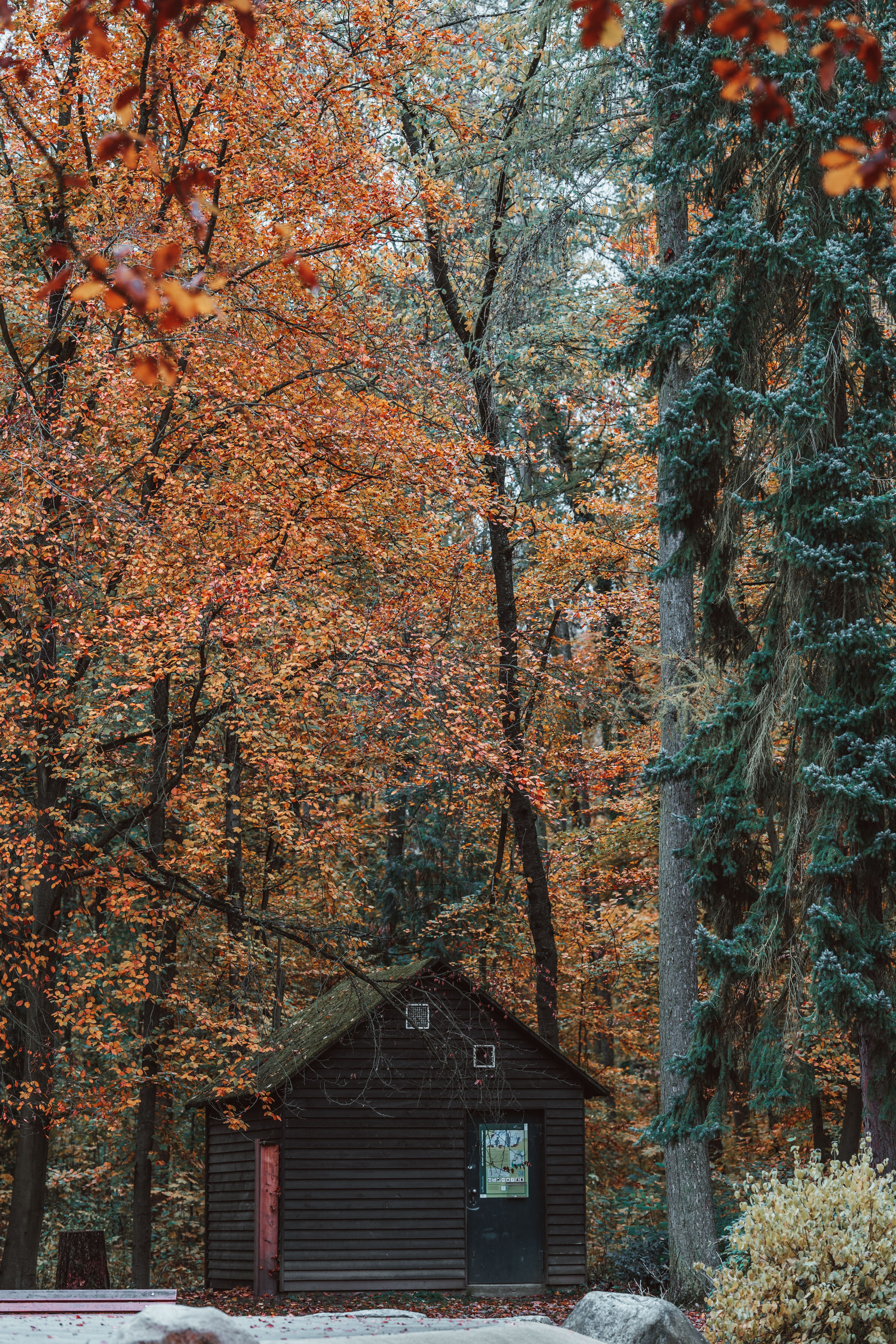 Brown Wooden Hut in Autumn Forest · Free Stock Photo