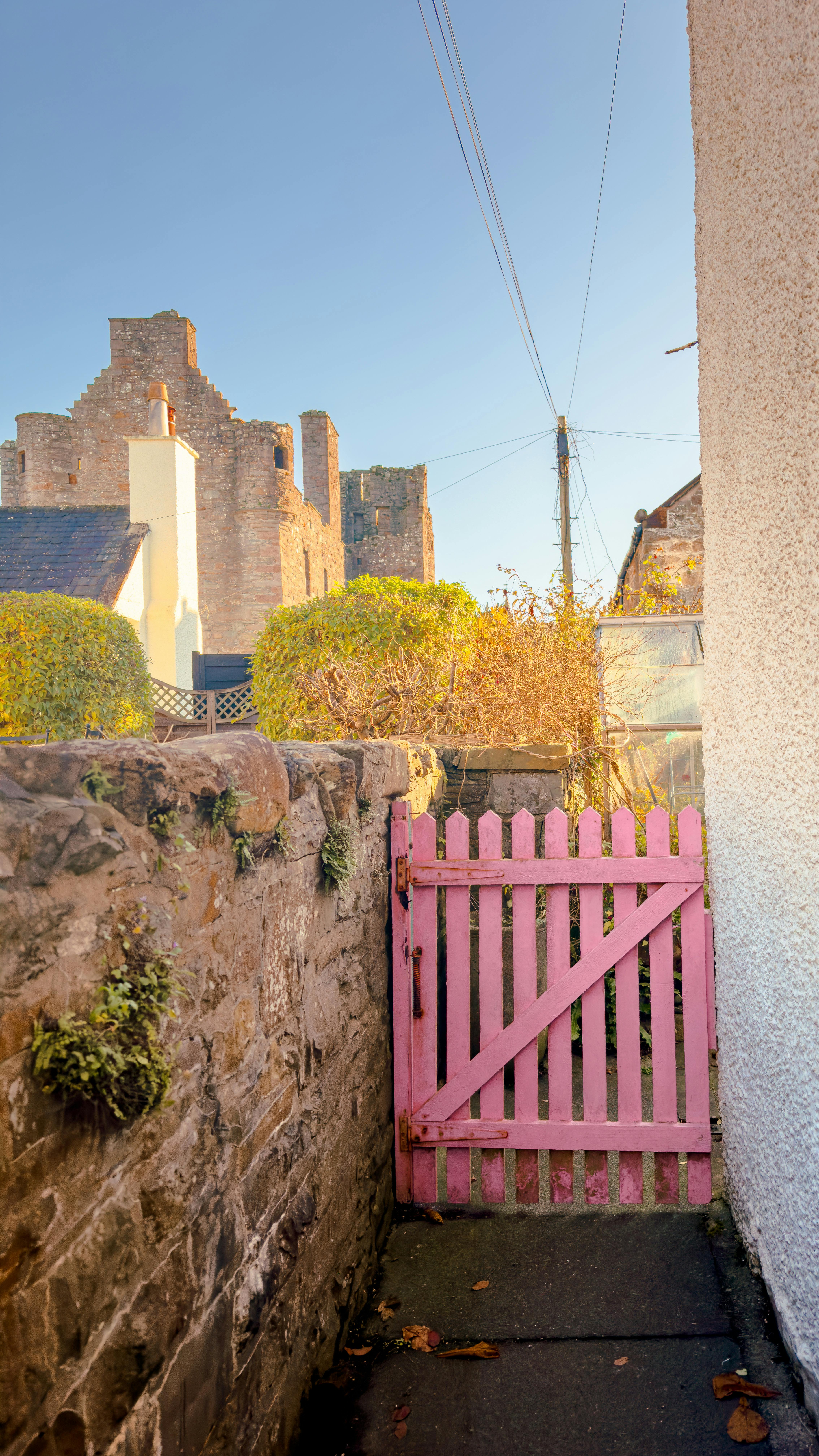 Blue Opened Gate to Yard · Free Stock Photo