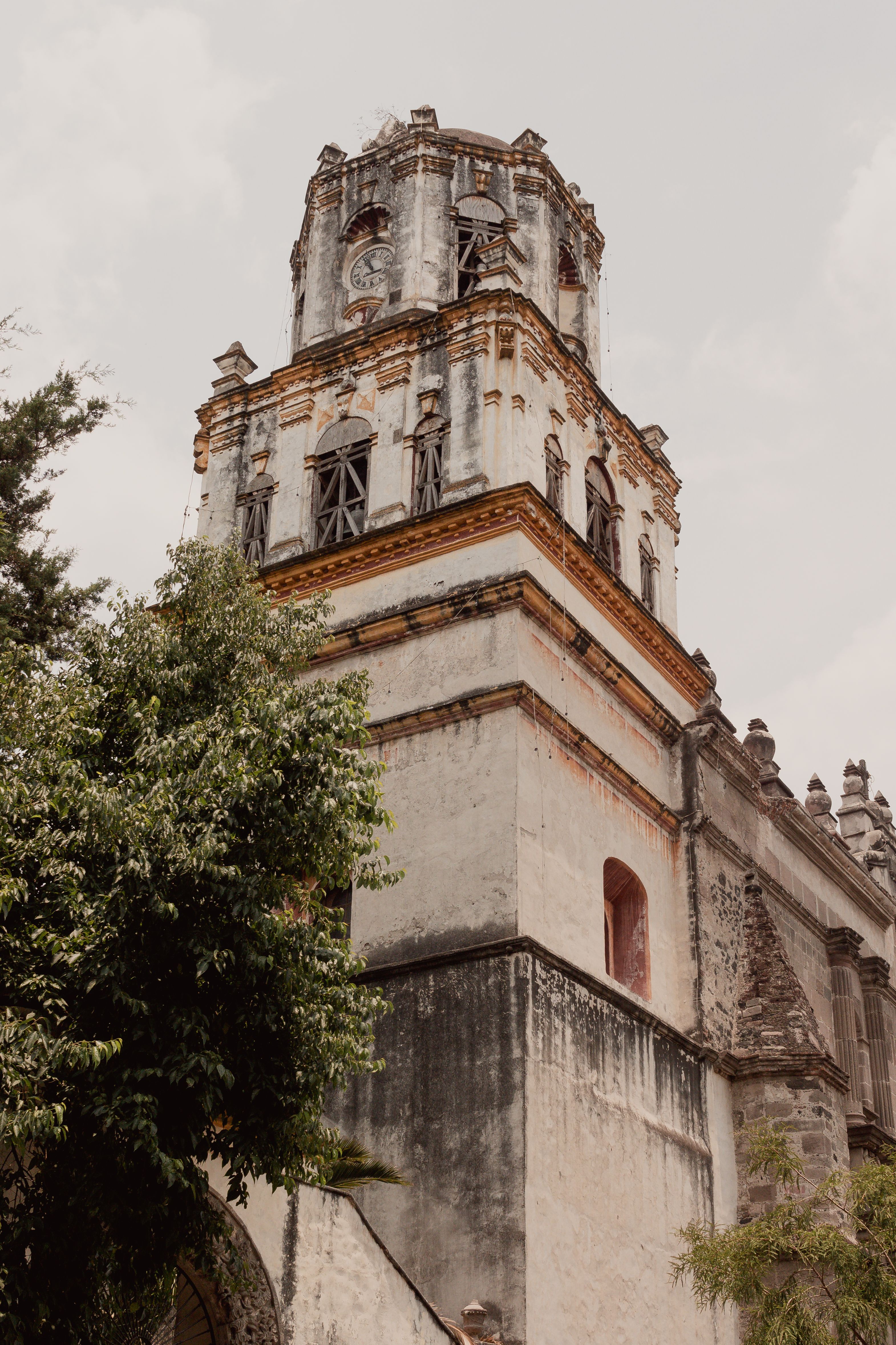 Coyoacan Mexico City Photos, Download The BEST Free Coyoacan Mexico ...