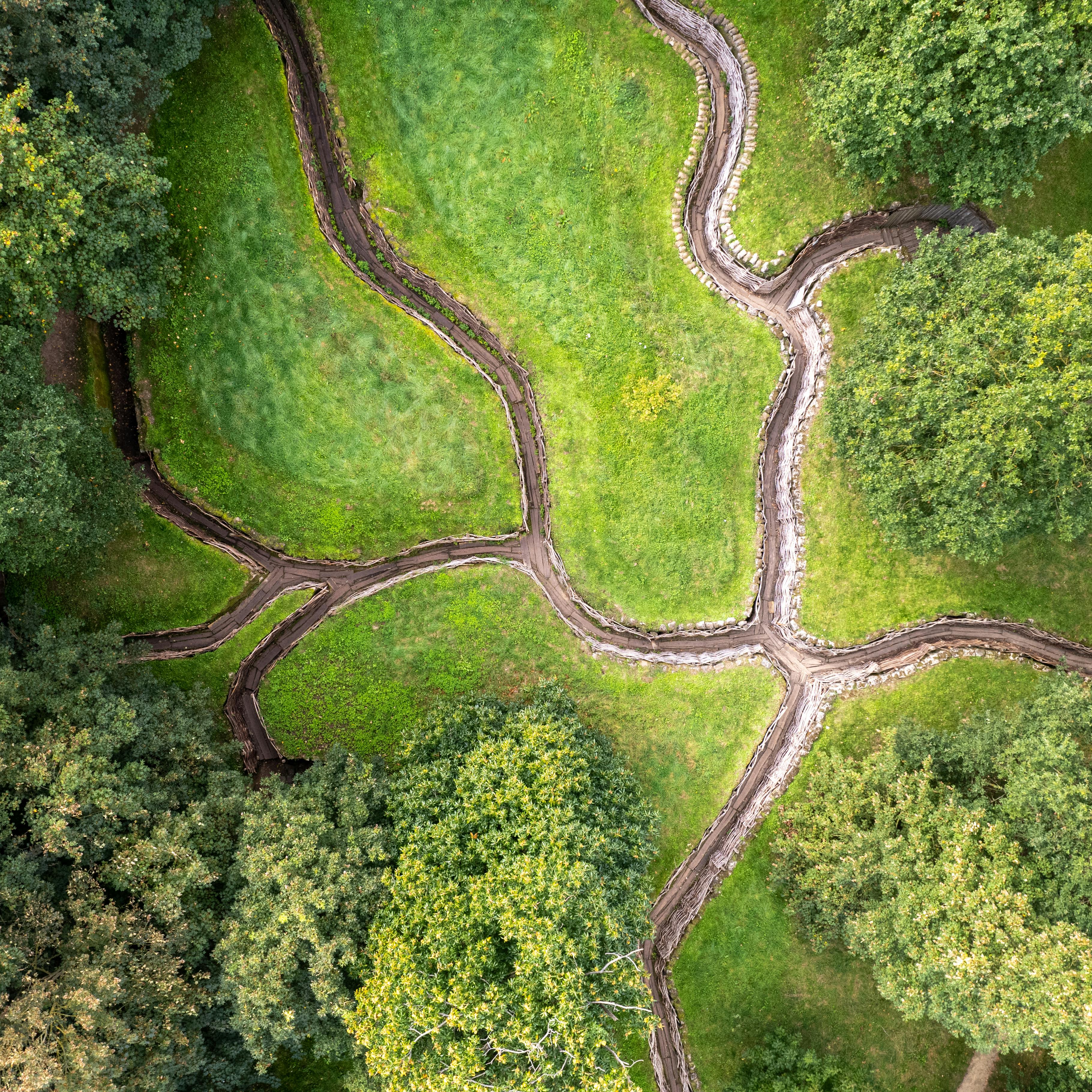 Network of Trenches in a Clearing in the Forest · Free Stock Photo