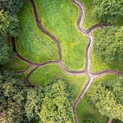 Forest Clearing Photos, Download The BEST Free Forest Clearing Stock ...